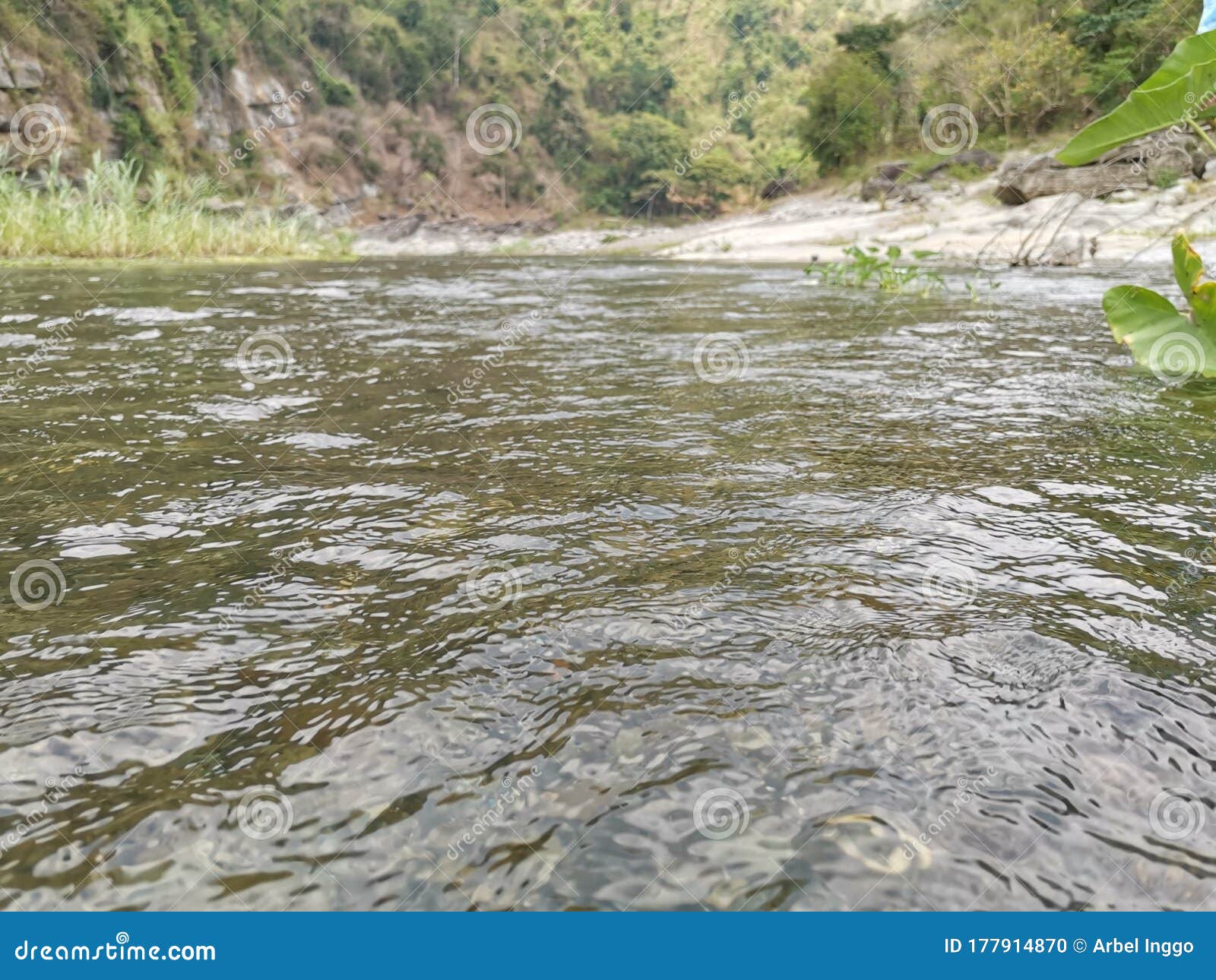 Flow of the River stock photo. Image of philippines - 177914870