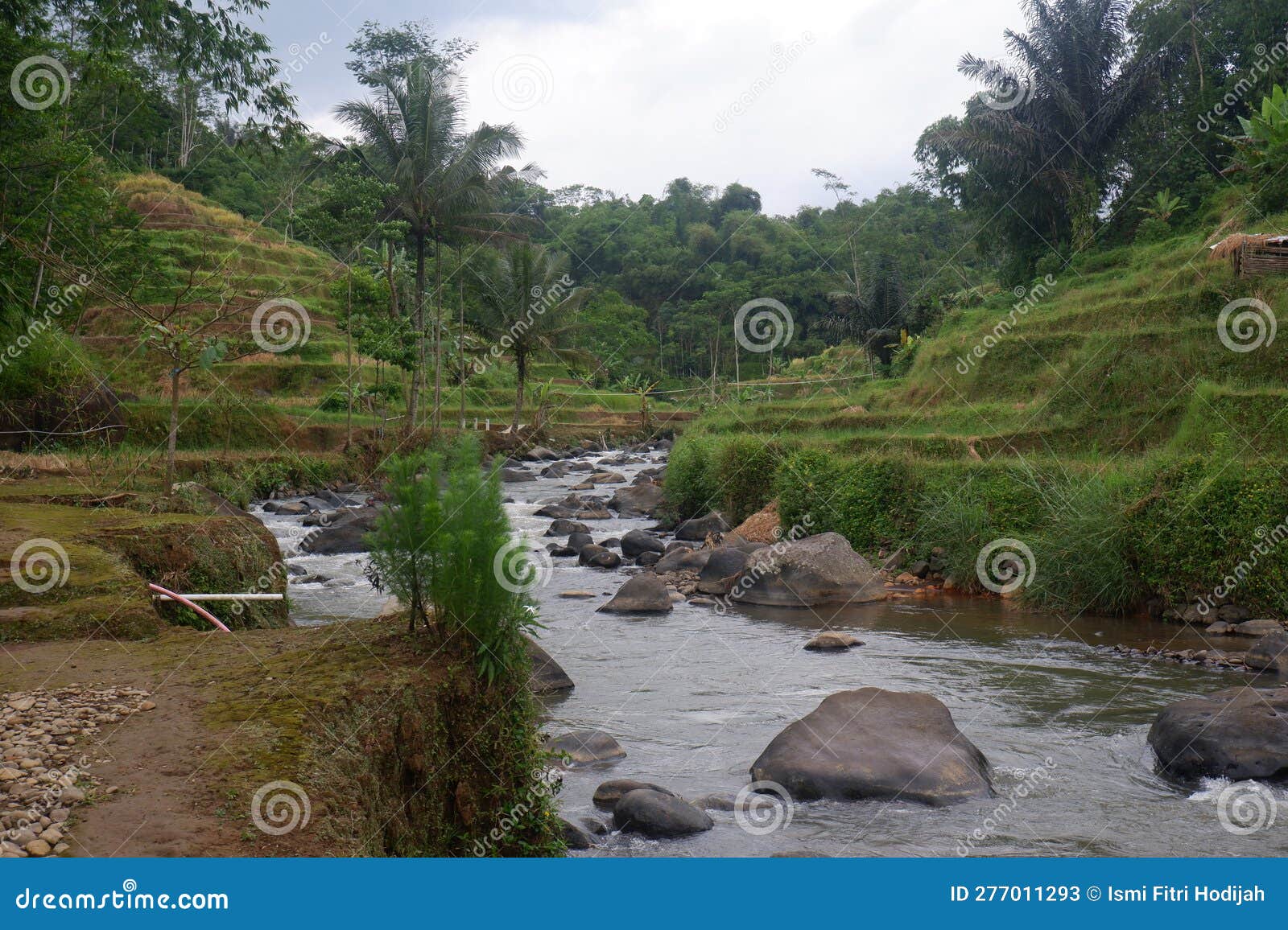The Flow of the River that Flows between Rocks Stock Image - Image of ...