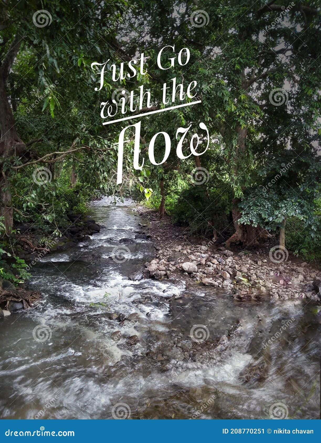 Flow of River with Green Trees with Text Just Go with the Flow Stock ...