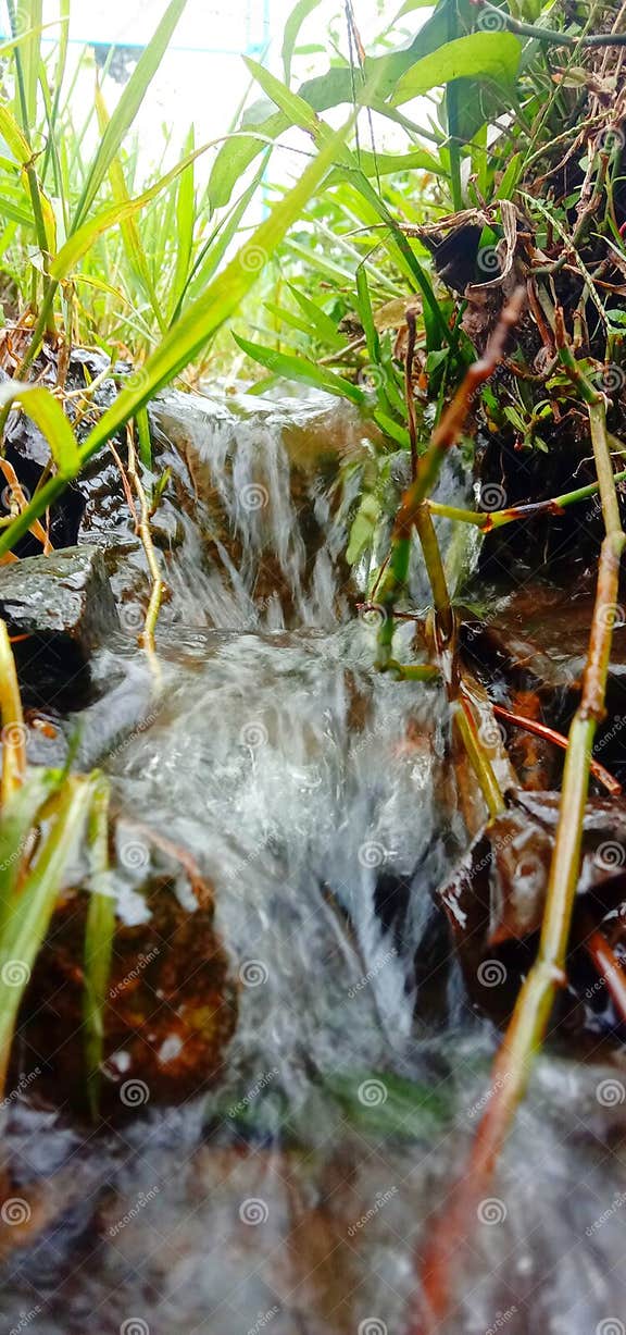 The Flow of a Small River after the Rain Falls Stock Image - Image of ...