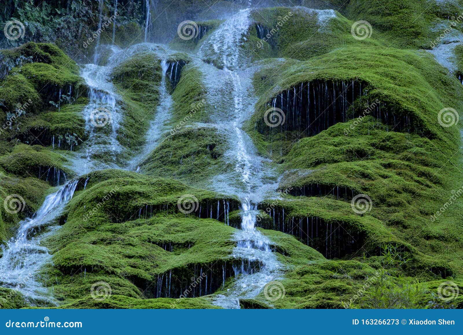 Spring Water Flowing on Moss in the Mountains. Stock Image - Image of ...