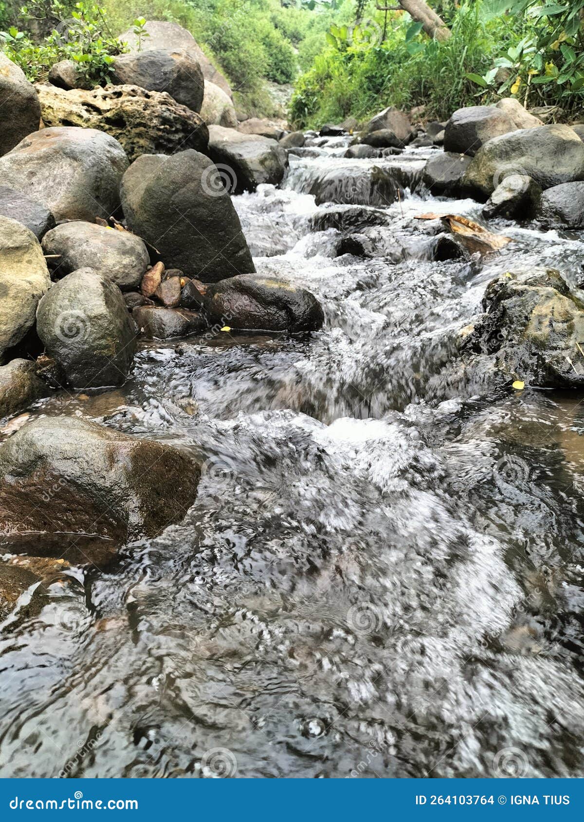 The Flow of Water in the River that Calms the Mind Stock Photo - Image ...