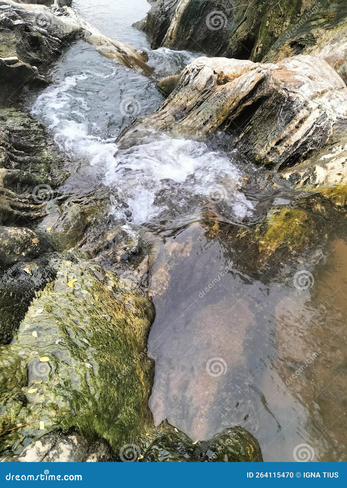 The Flow of Water in the River that Calms the Mind Stock Photo - Image ...