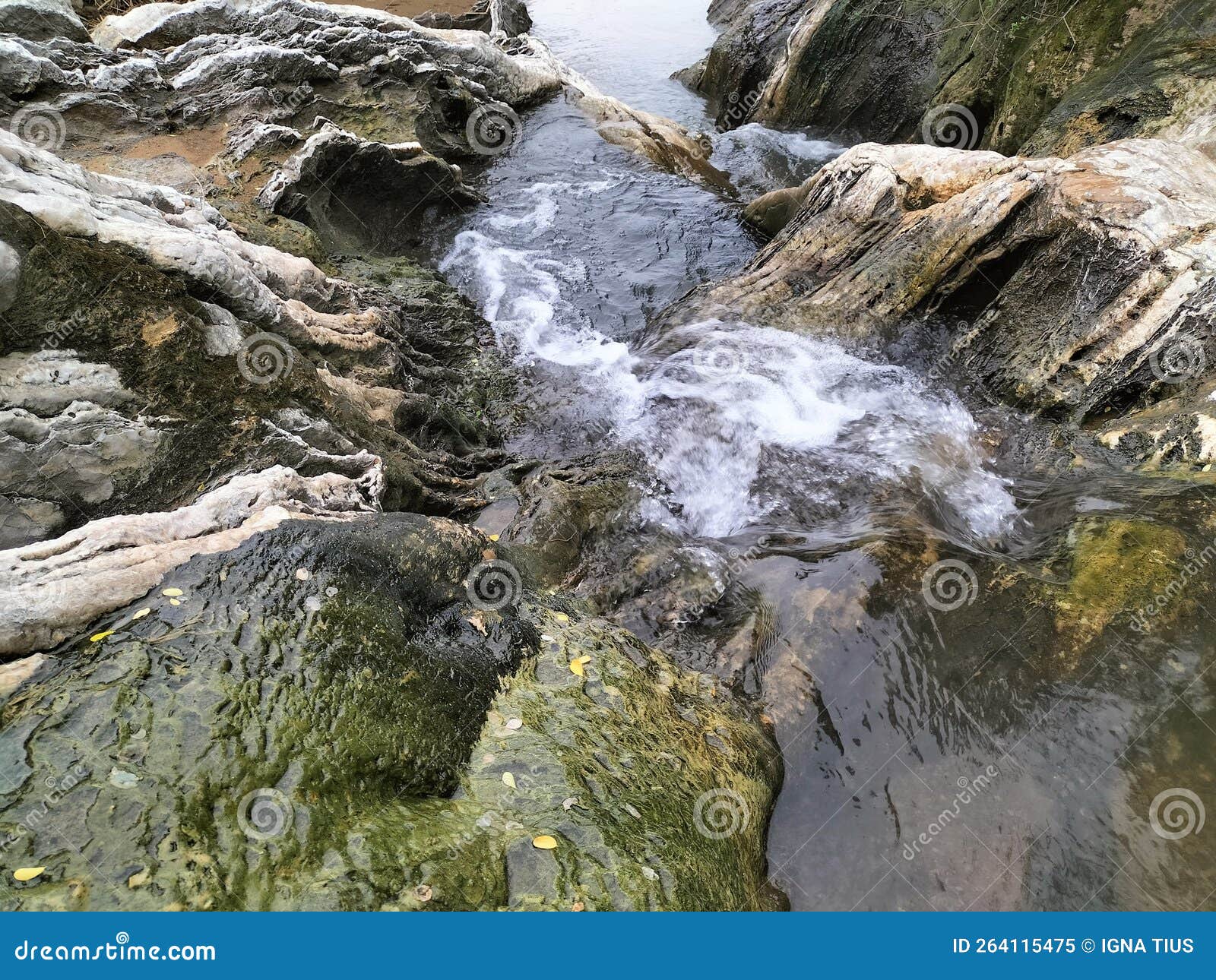 The Flow of Water in the River that Calms the Mind Stock Image - Image ...