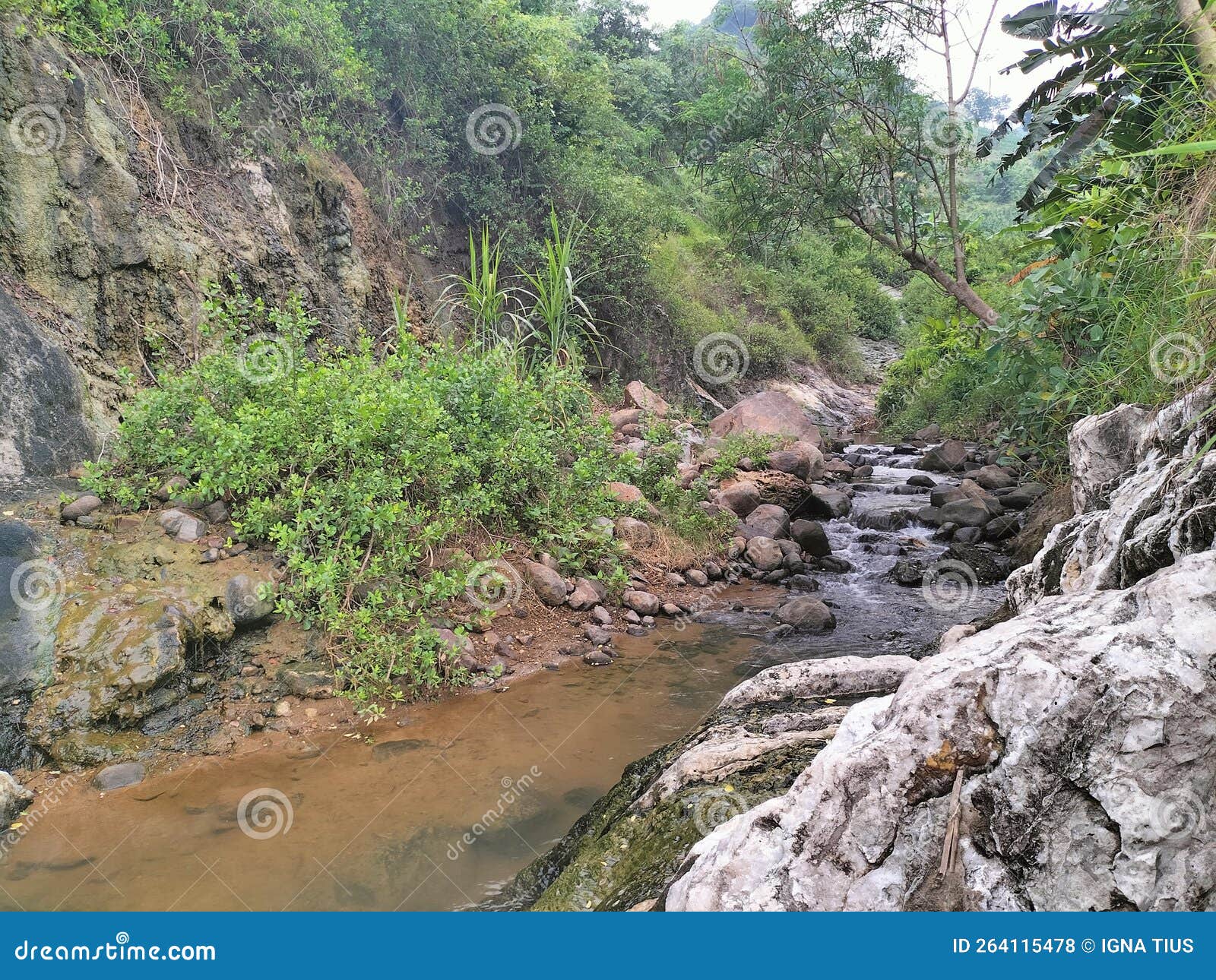 The Flow of Water in the River that Calms the Mind Stock Photo - Image ...