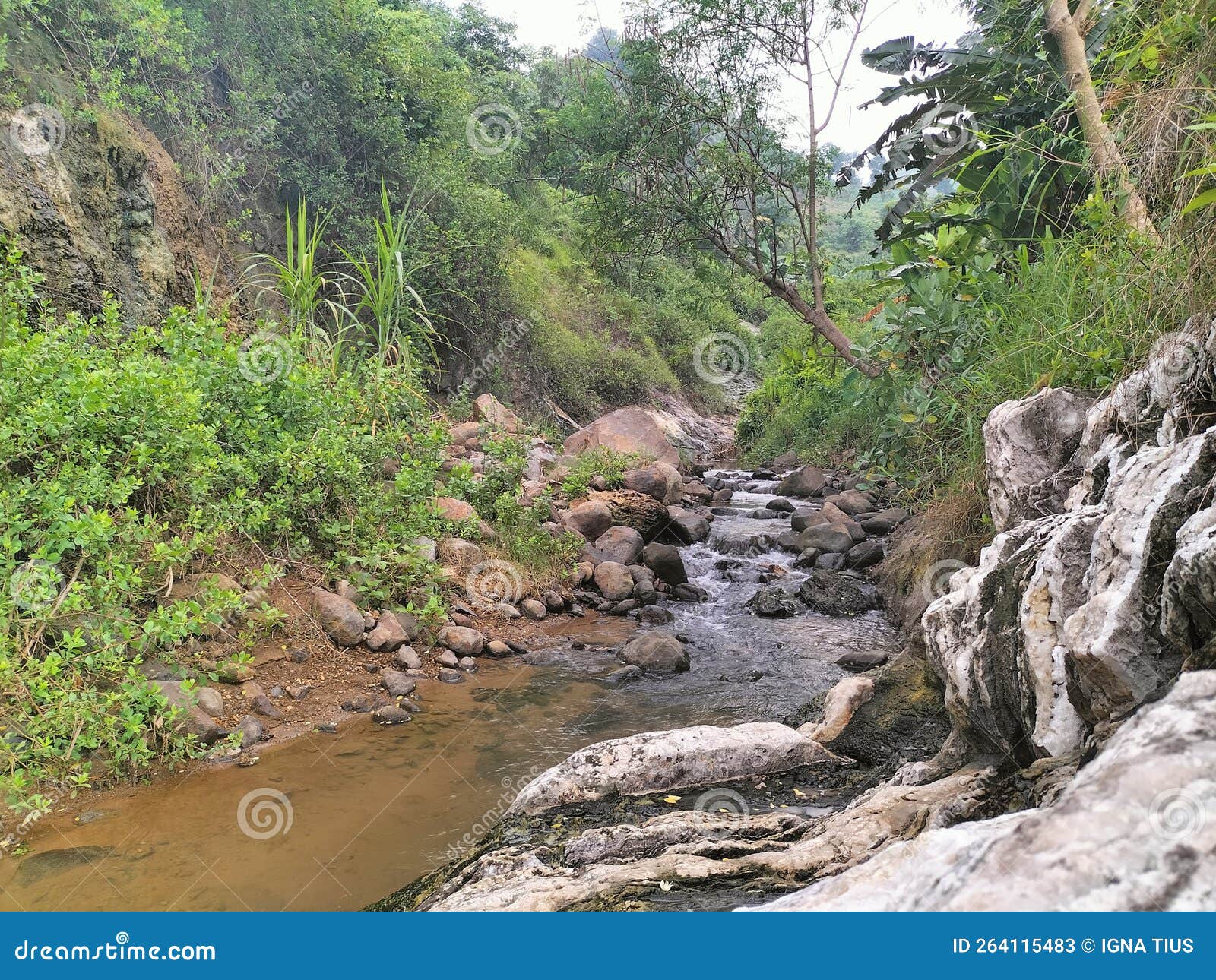 The Flow of Water in the River that Calms the Mind Stock Image - Image ...