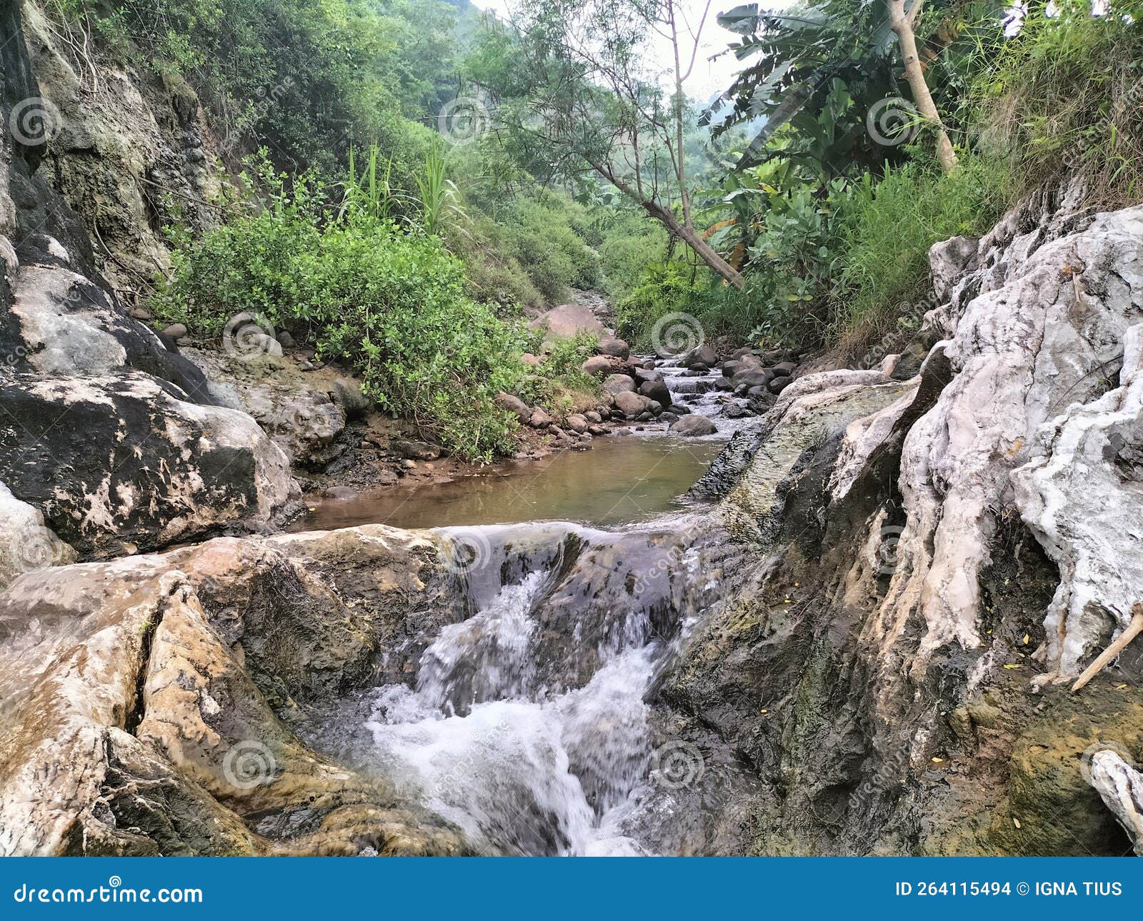 The Flow of Water in the River that Calms the Mind Stock Photo - Image ...