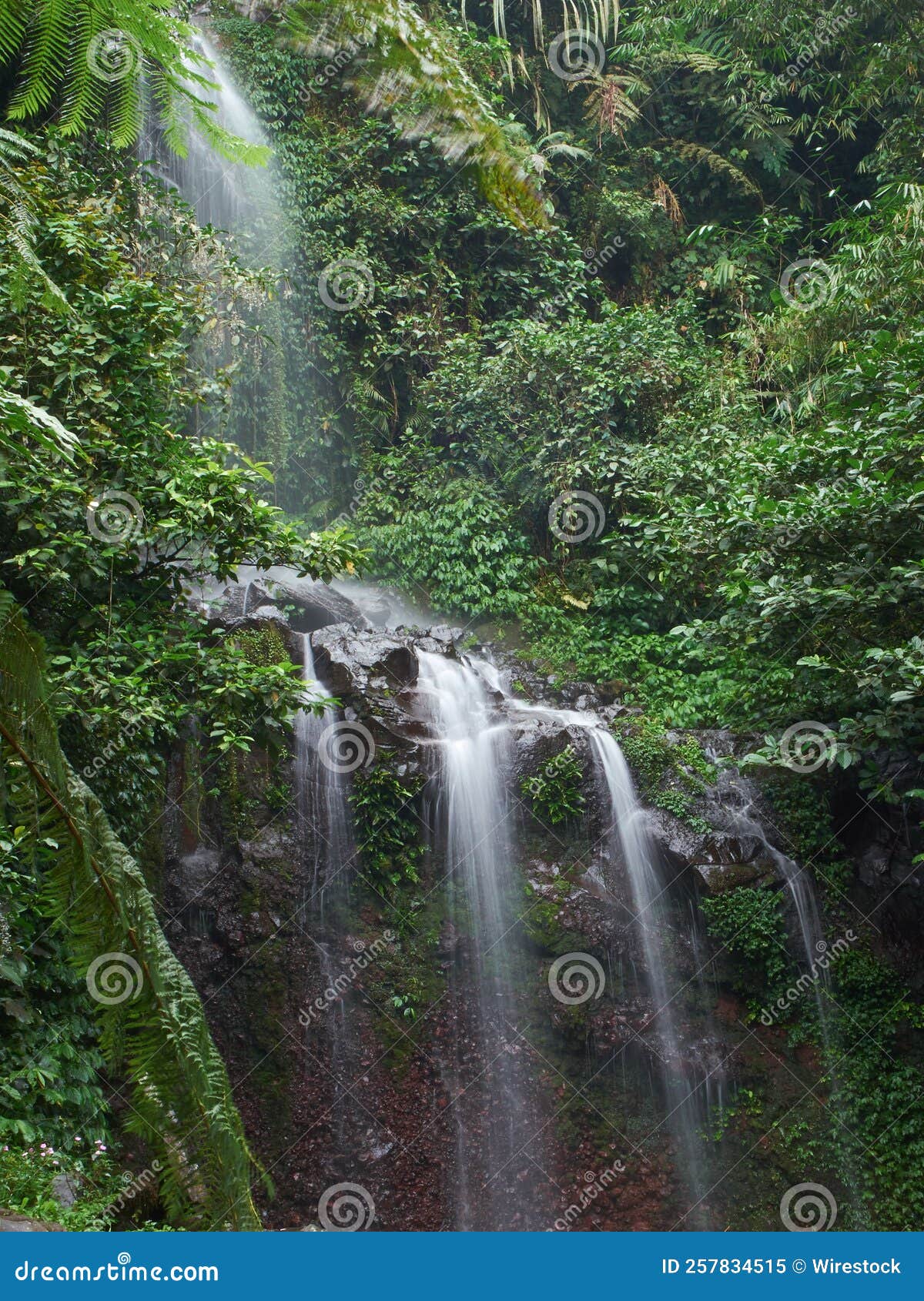 The flow of the waterfall stock image. Image of beauty - 257834515