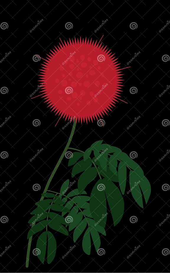 Fun Red Powder Puff Tree Flower Stock Vector - Illustration of florida ...