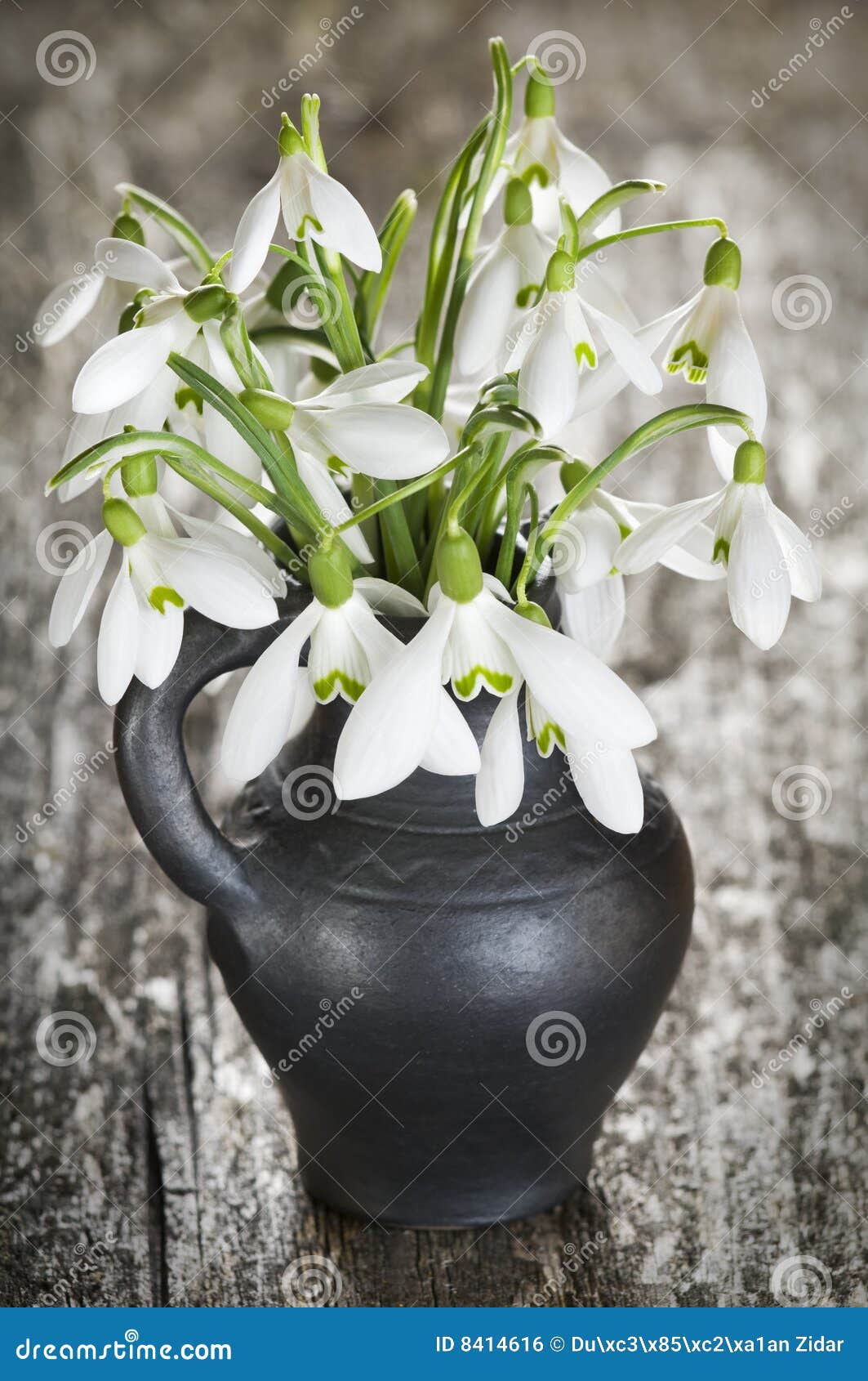 Snowdrops in Stoneware Vase Stock Photo - Image of galanthus, vase: 8414616