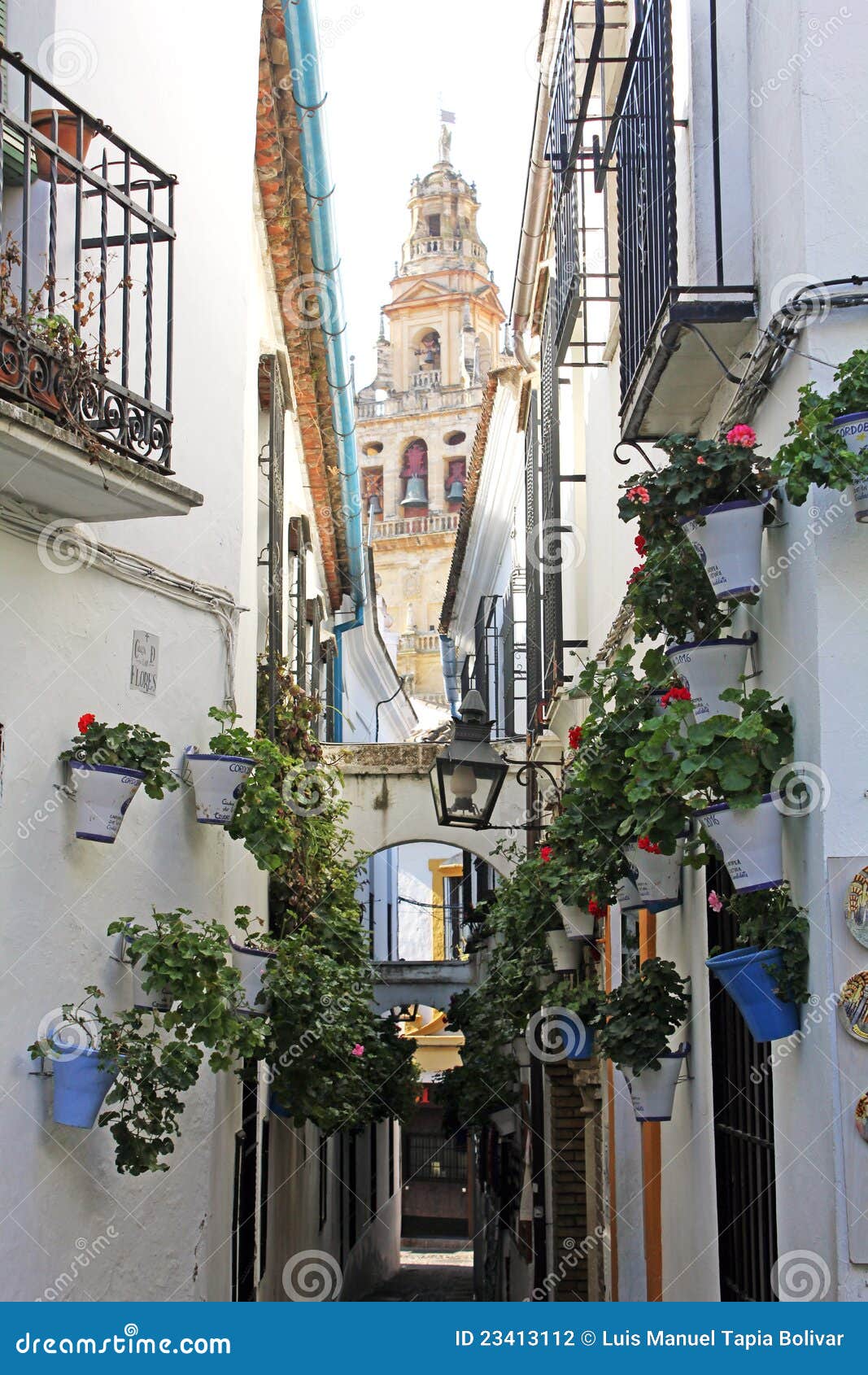 Flower Alley in Cordoba stock photo. Image of postcard - 23413112
