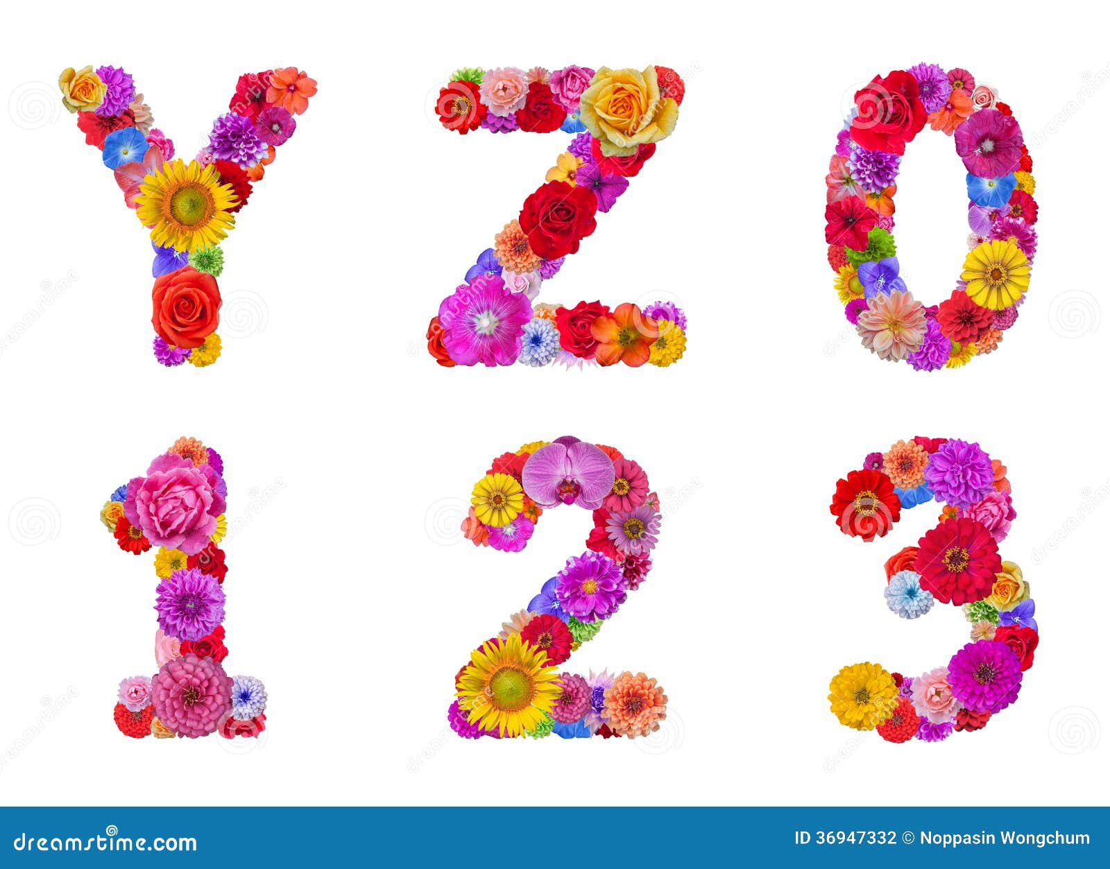 Flower alphabet stock photo. Image of flower, alphabet - 36947332