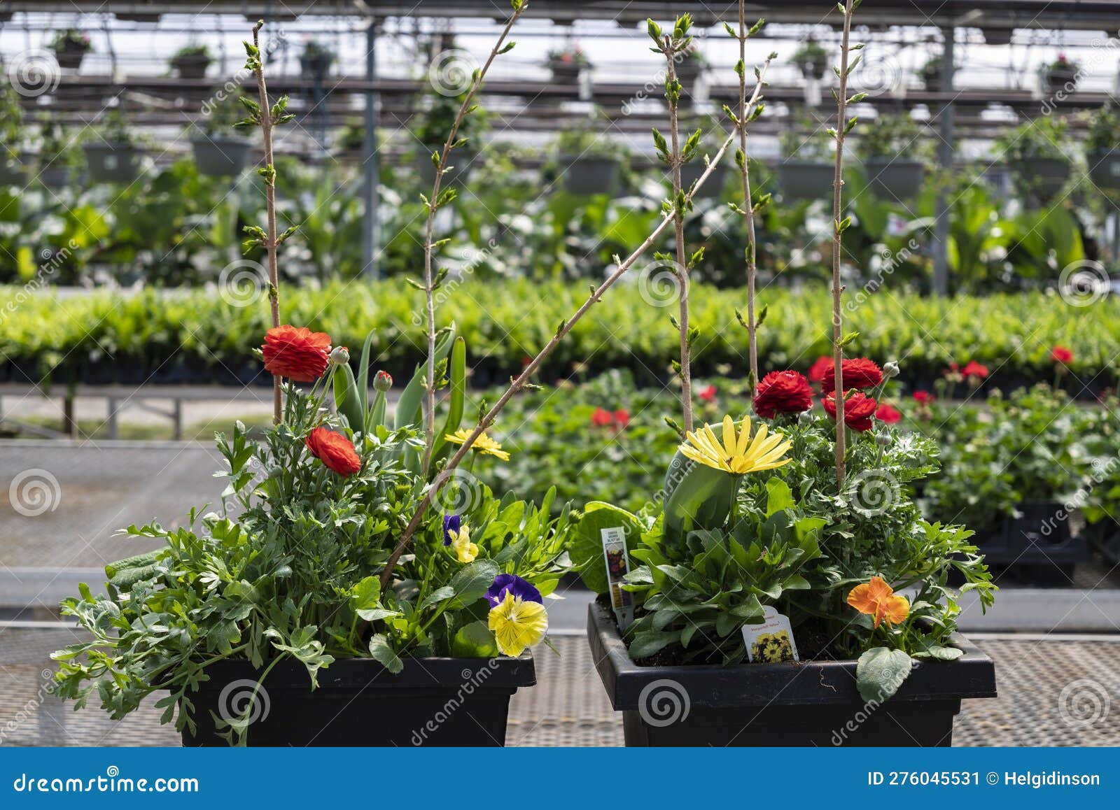Flower arrangment stock image. Image of drawing, green - 276045531