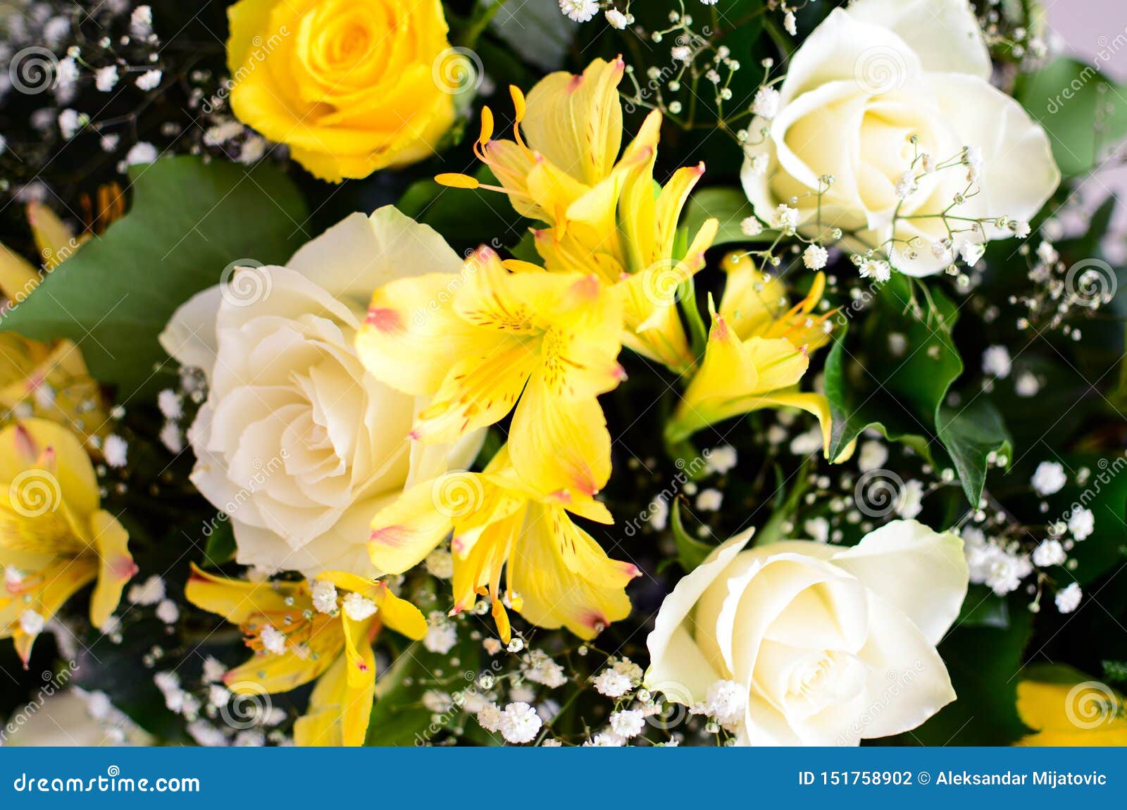 Flower Arrangment with Yellow Roses Stock Photo - Image of fresh, color ...