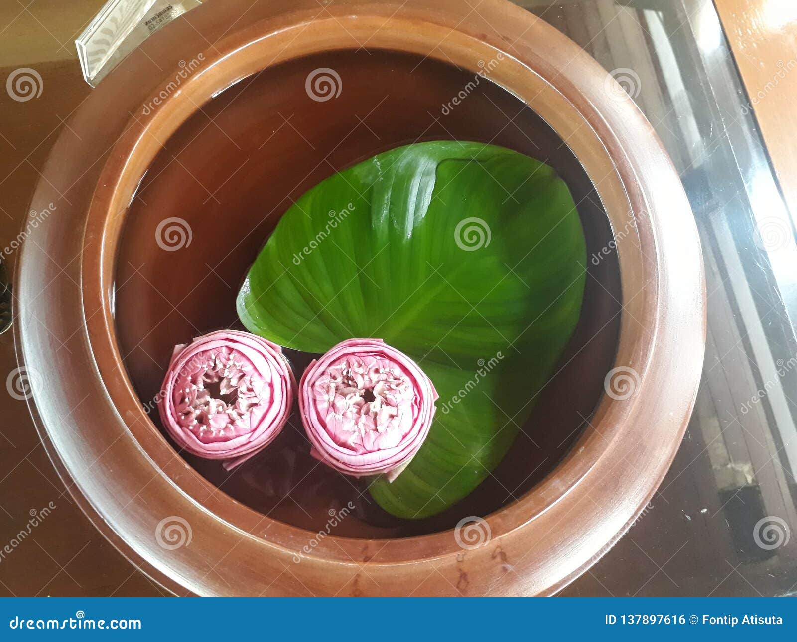 Flower of asia stock photo. Image of leaf, asia, flower - 137897616