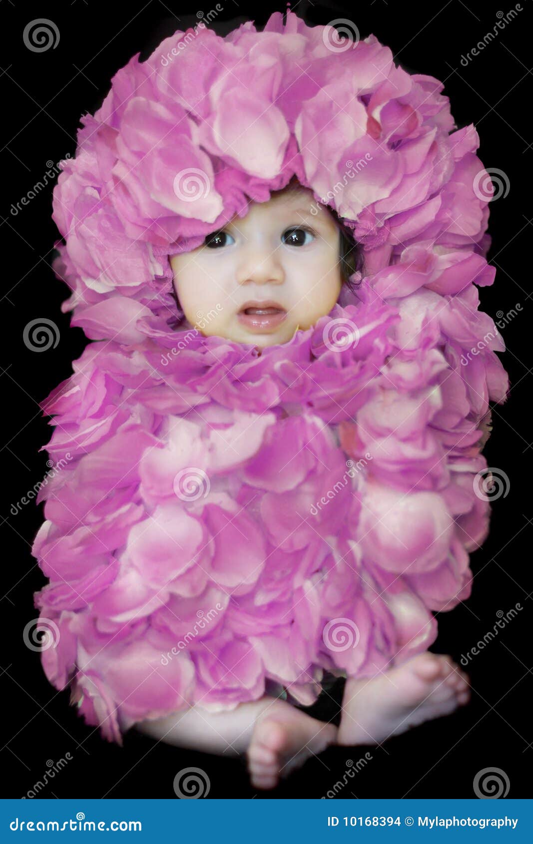 Flower baby stock photo. Image of craft, infant, beautiful - 10168394
