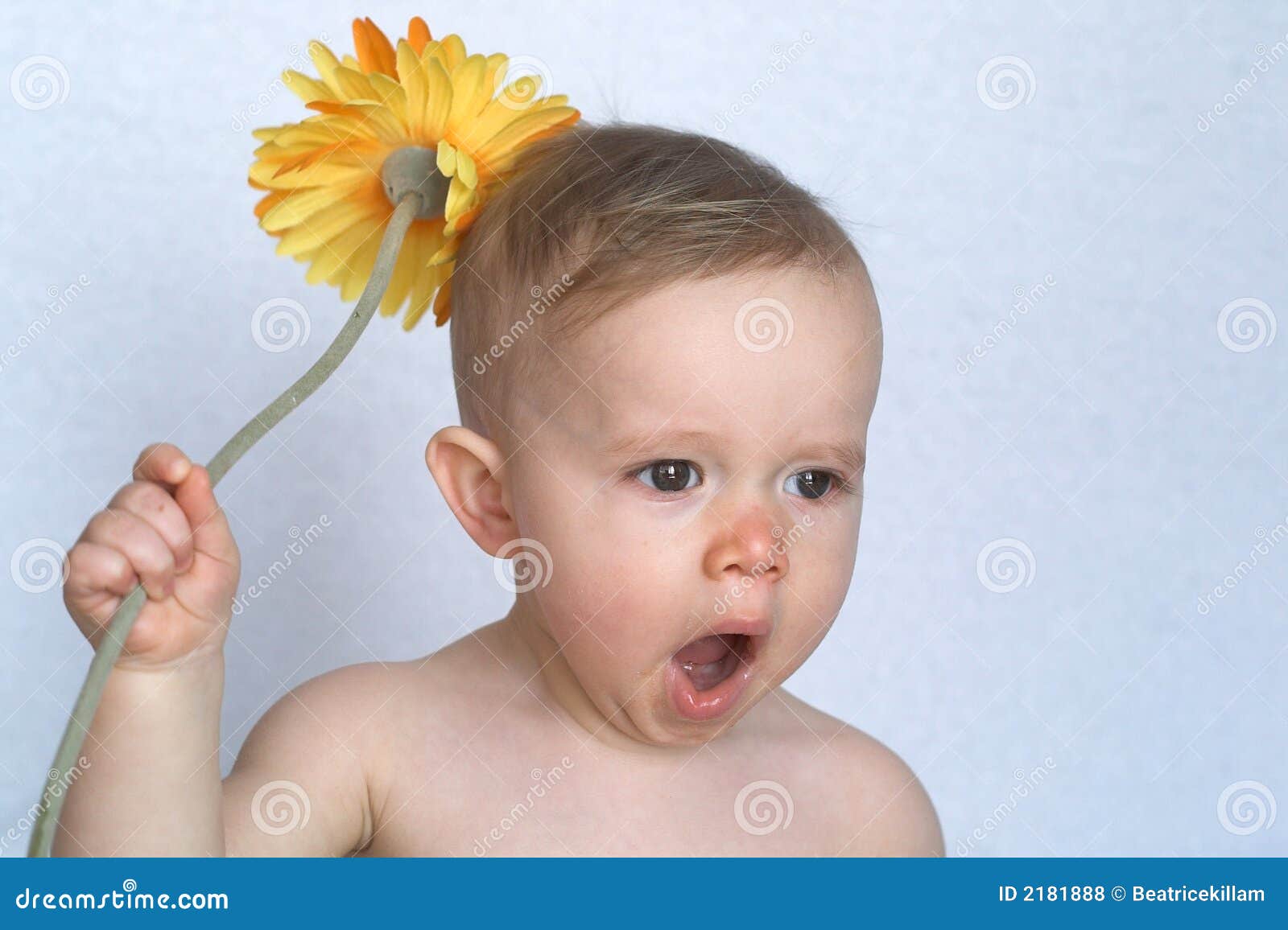 Flower Baby stock photo. Image of precious, perfect, colorful - 2181888