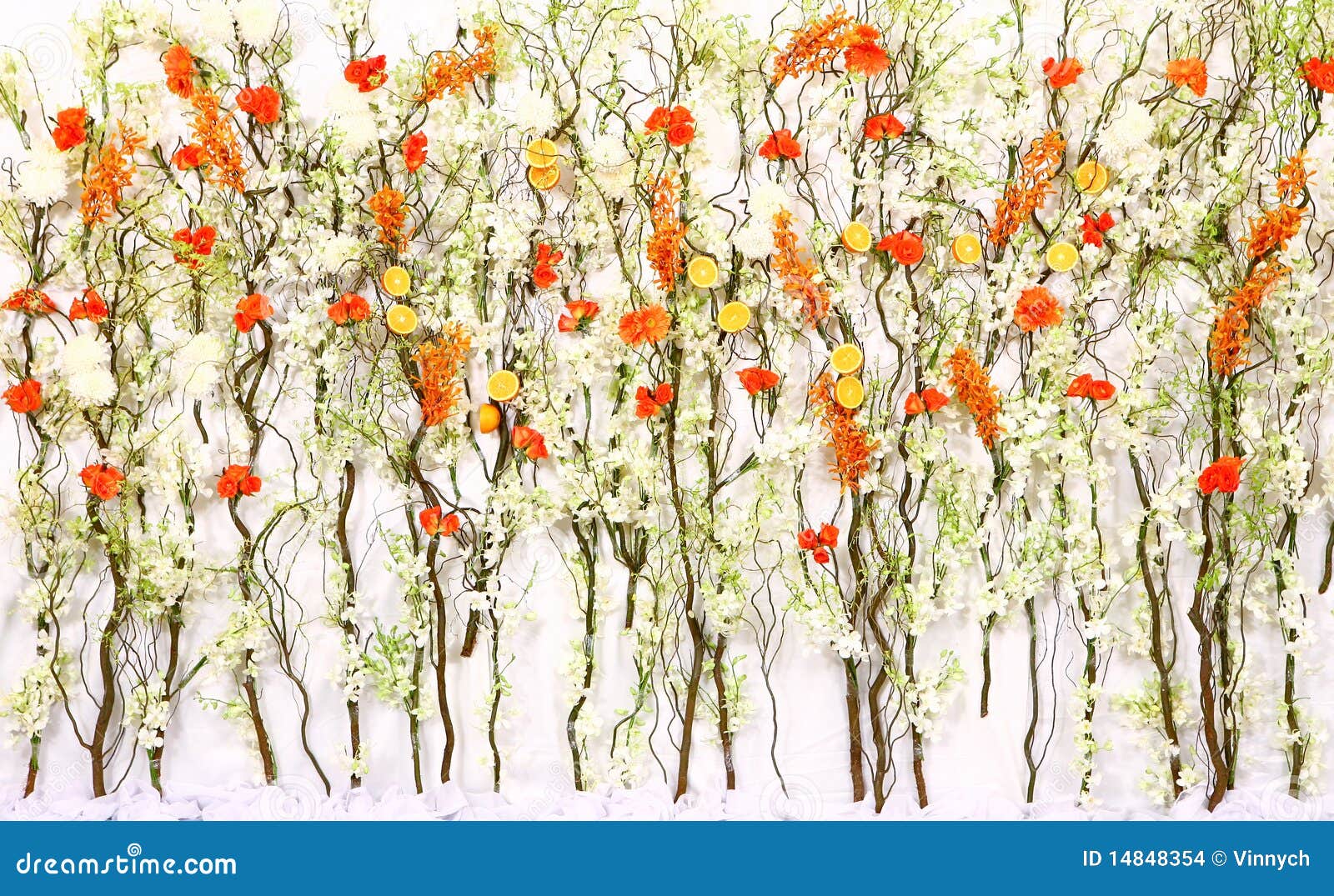 Flower backdrop stock photo. Image of botanical, bloom - 14848354