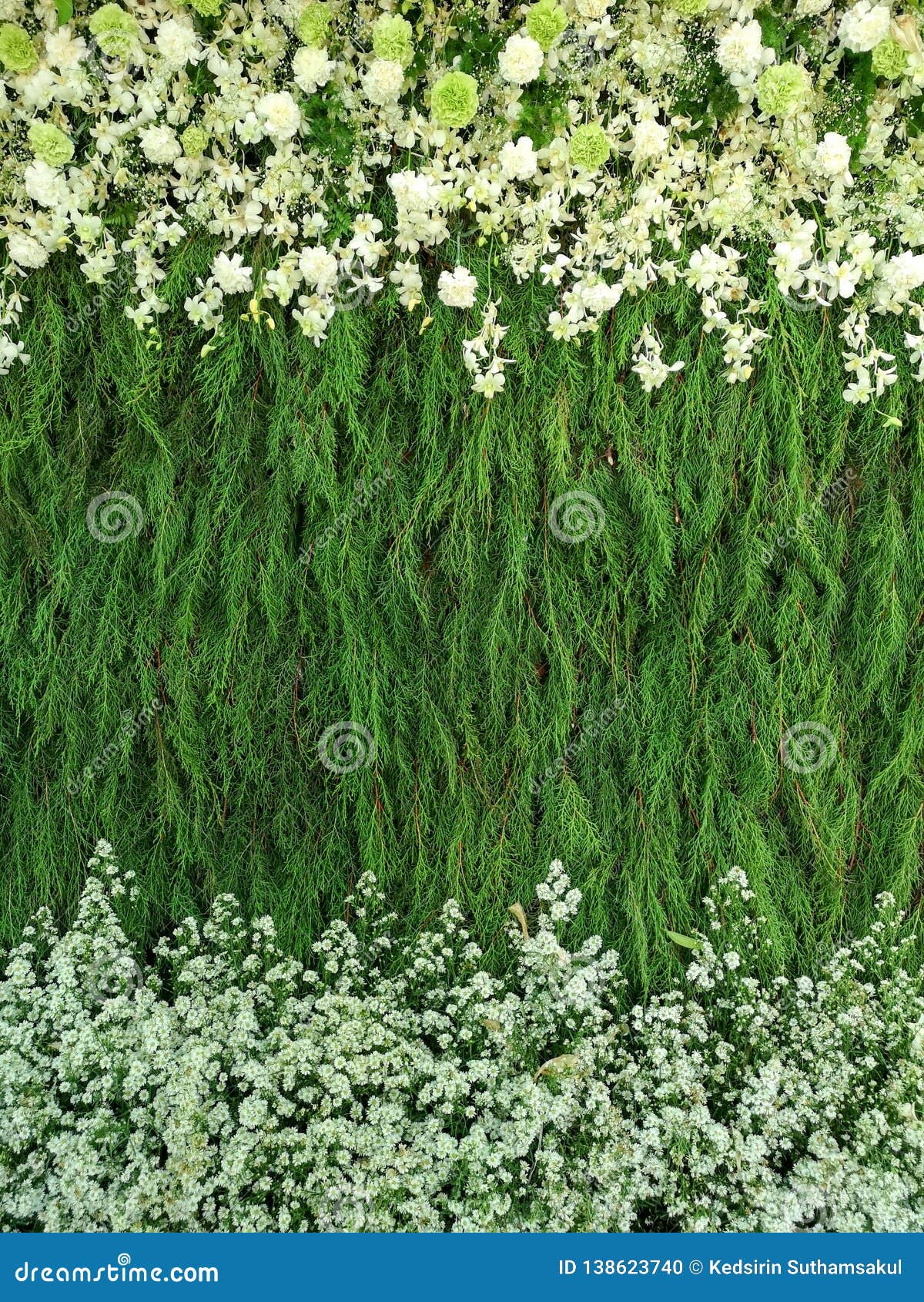 Flower Backdrop Designs Background Stock Photo - Image of fresh, floral ...