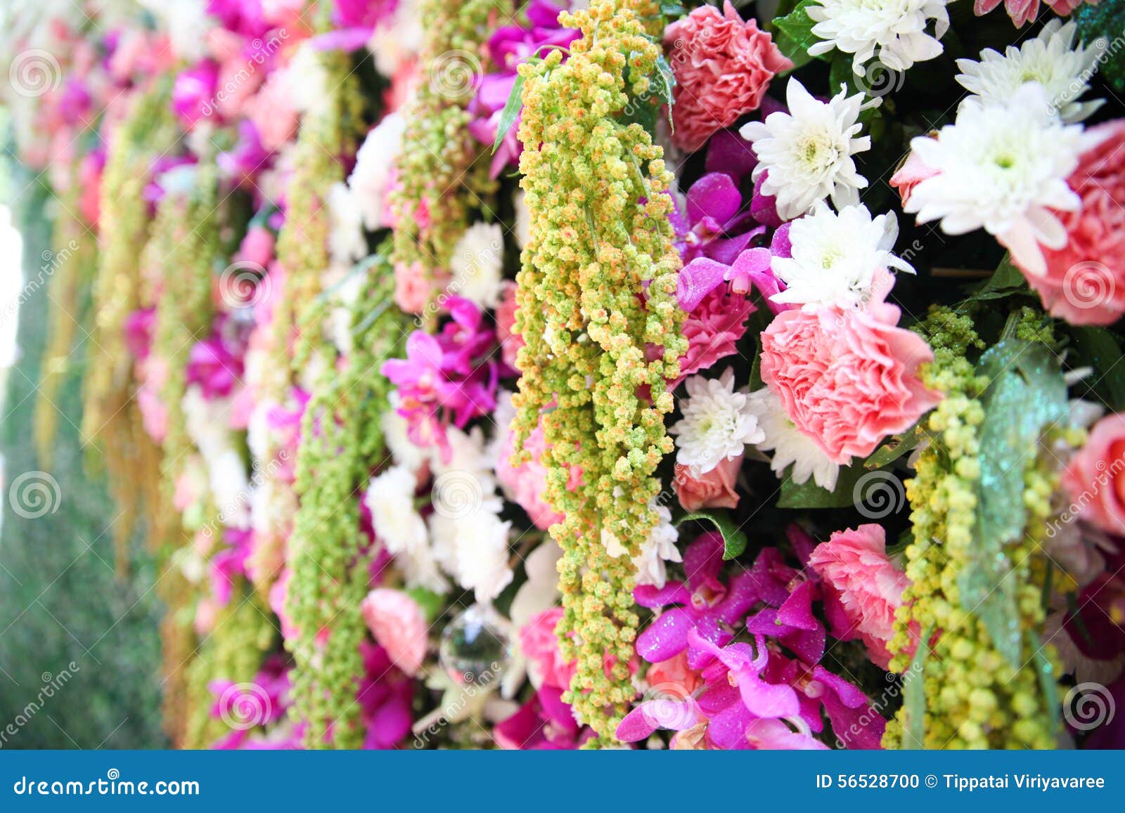 Flower backdrop wedding stock photo. Image of direction - 56528700