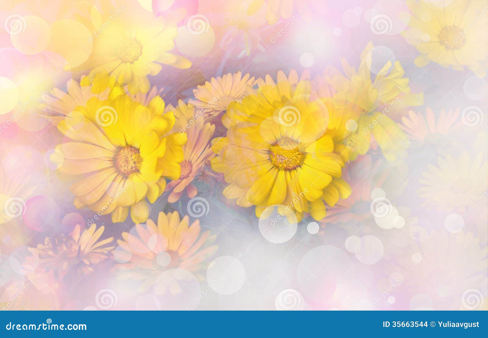 Flower Backgrond , Spring Bloom Stock Photo - Image of grain, ancient ...