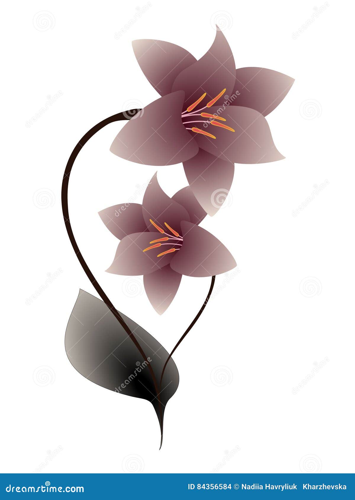 Flower Background with Abstract Lily. Stock Vector - Illustration of ...