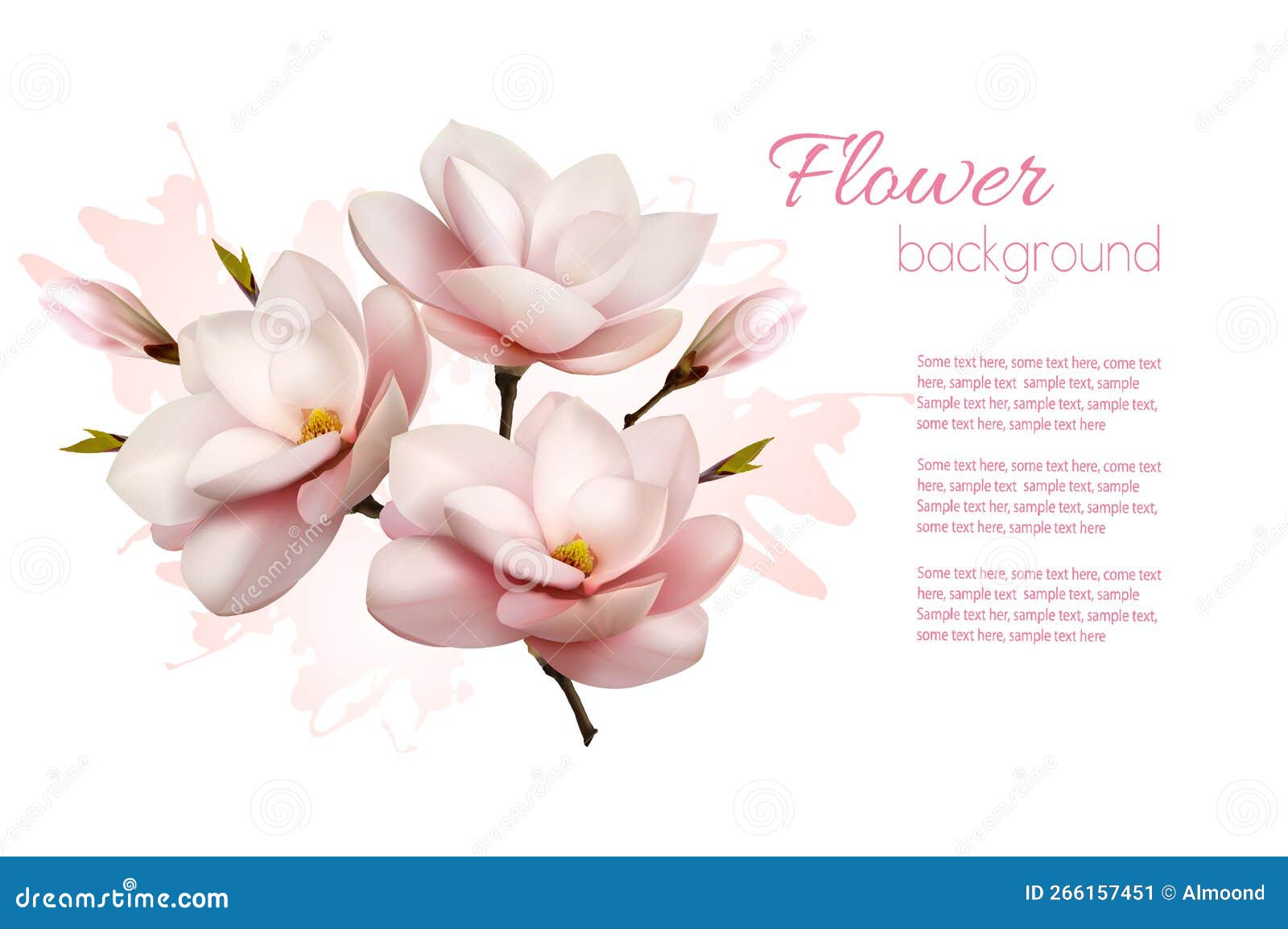 Flower Background with Beautiful Magnolia. Stock Vector - Illustration ...