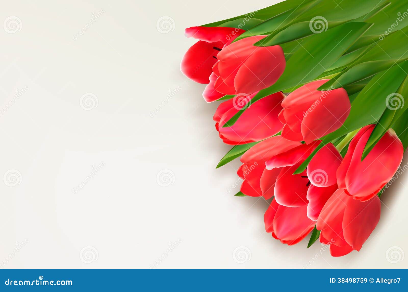 Flower Background With Red Tulips And Sample Text. Stock Vector ...