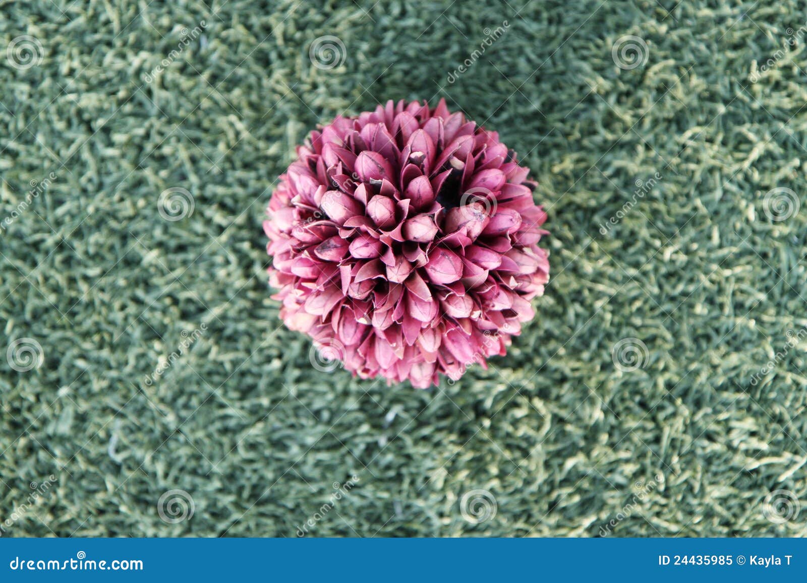 Flower ball stock image. Image of filigreed, nature, hand - 24435985