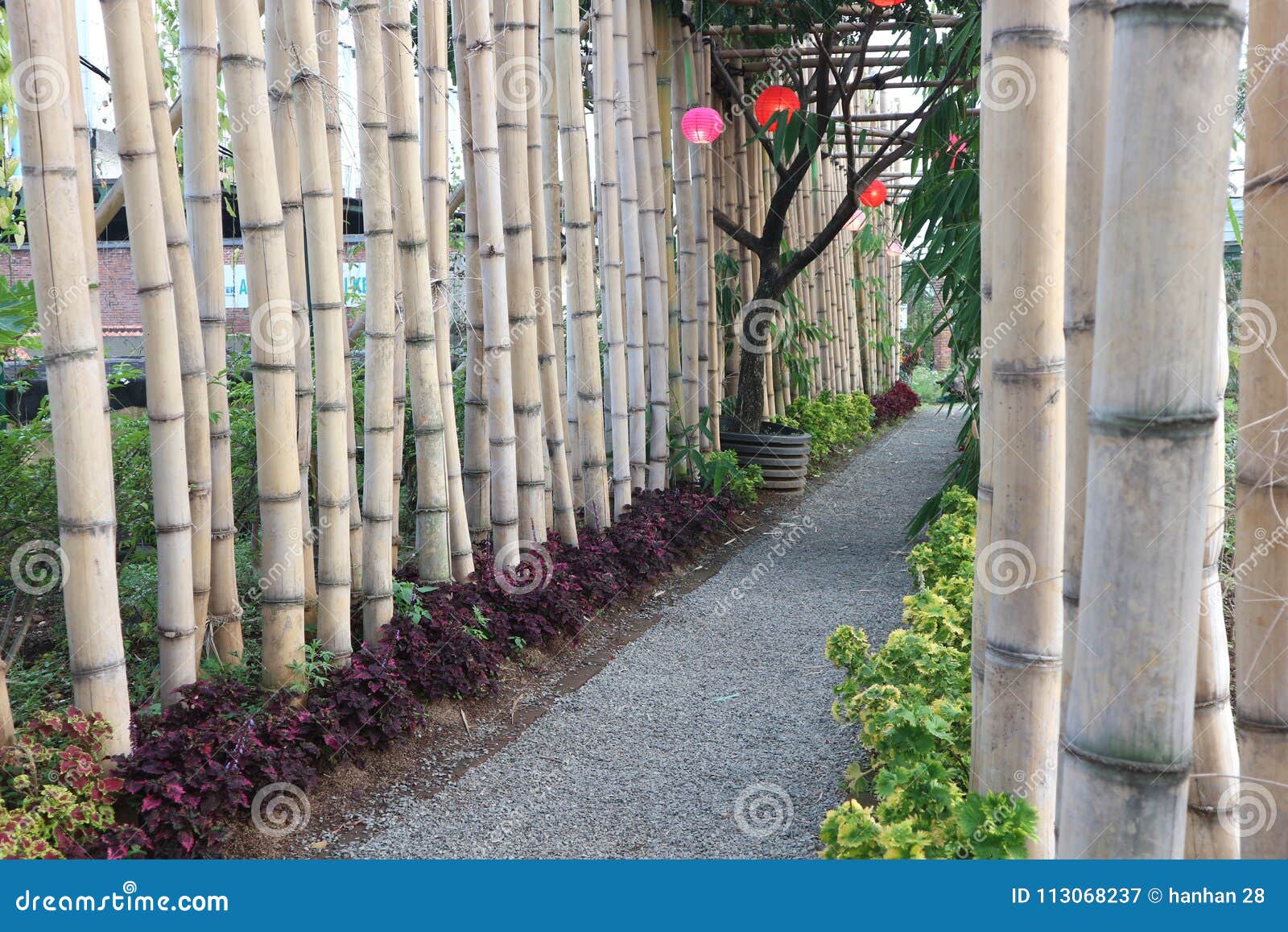 Flower Bamboo Bridge and Road Stock Image - Image of crossover, fresh ...