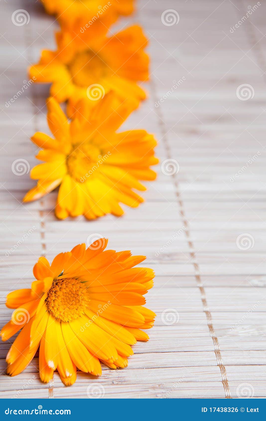 Flower on bamboo mat stock photo. Image of blooming, treatment - 17438326
