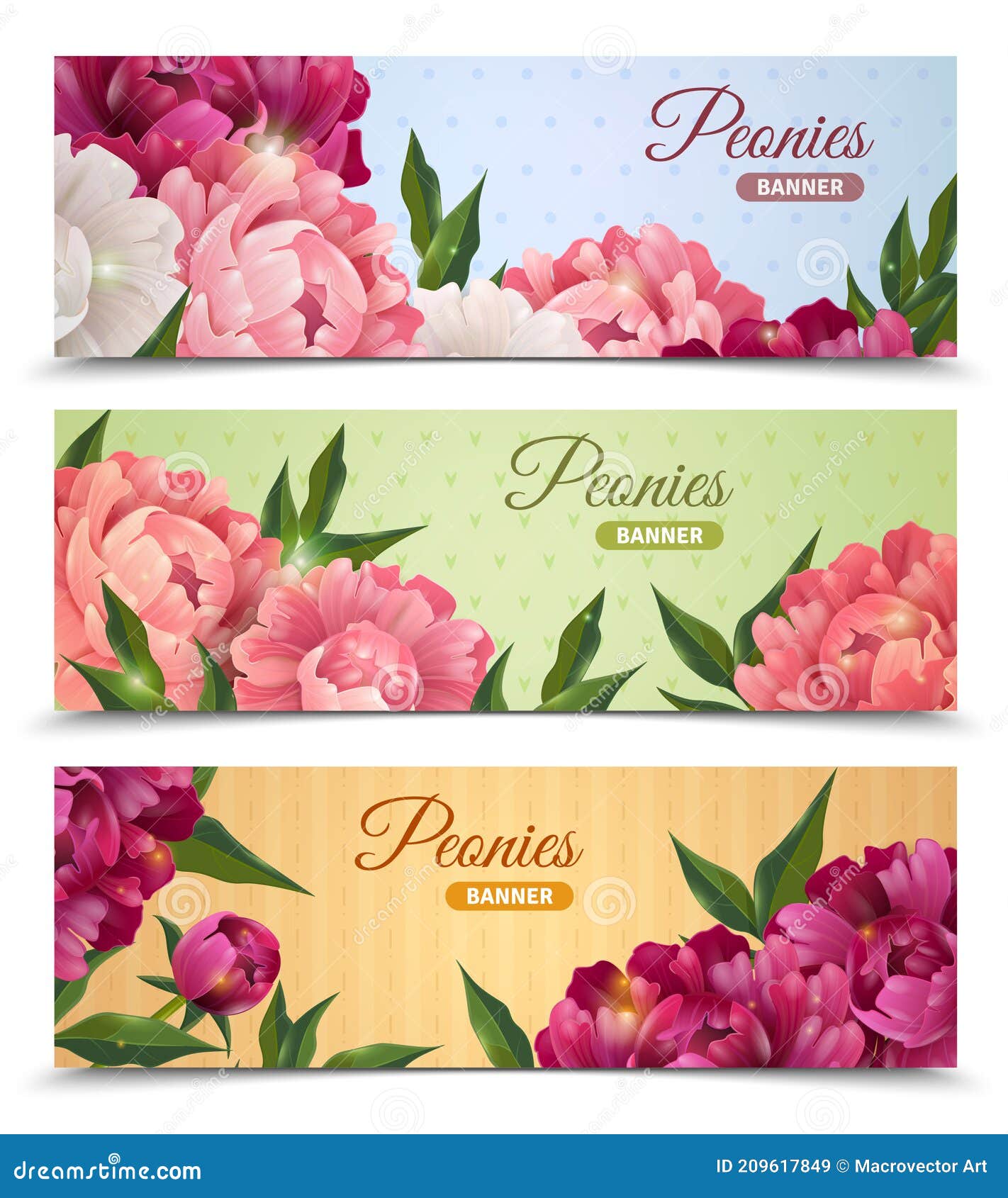 Flower Banners Set stock vector. Illustration of garden - 209617849