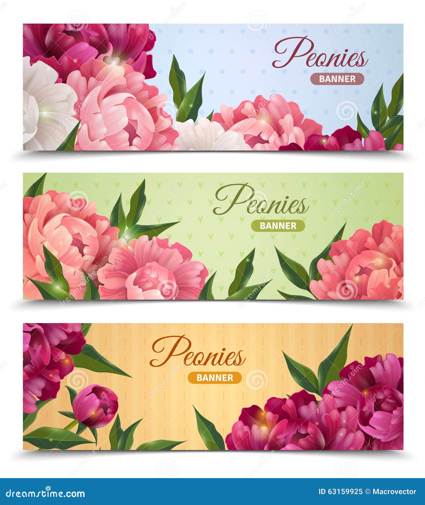 Flower Banners Set stock vector. Illustration of business - 63159925