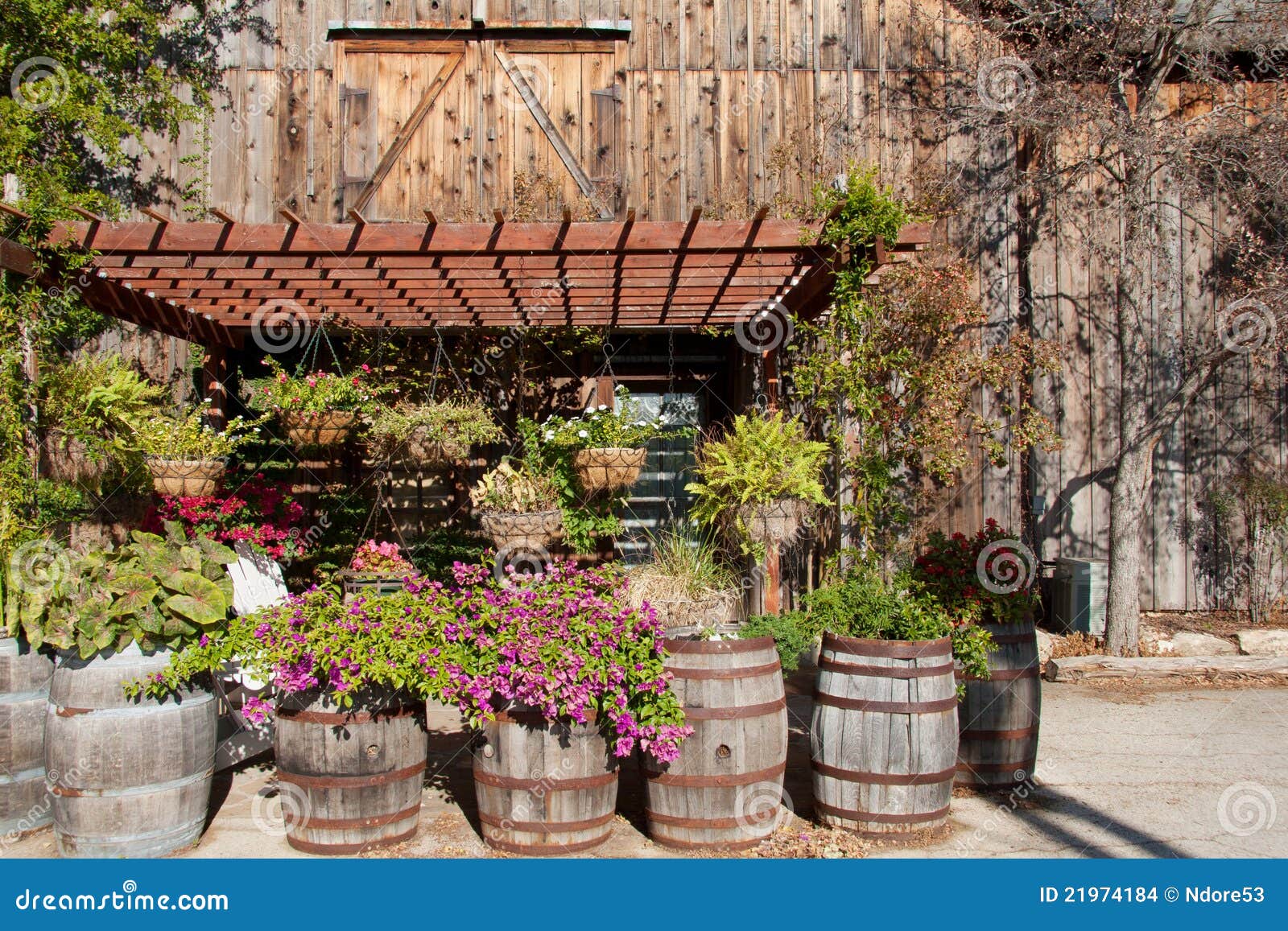 Flower Barrels stock photo. Image of sightseeing, purple - 21974184