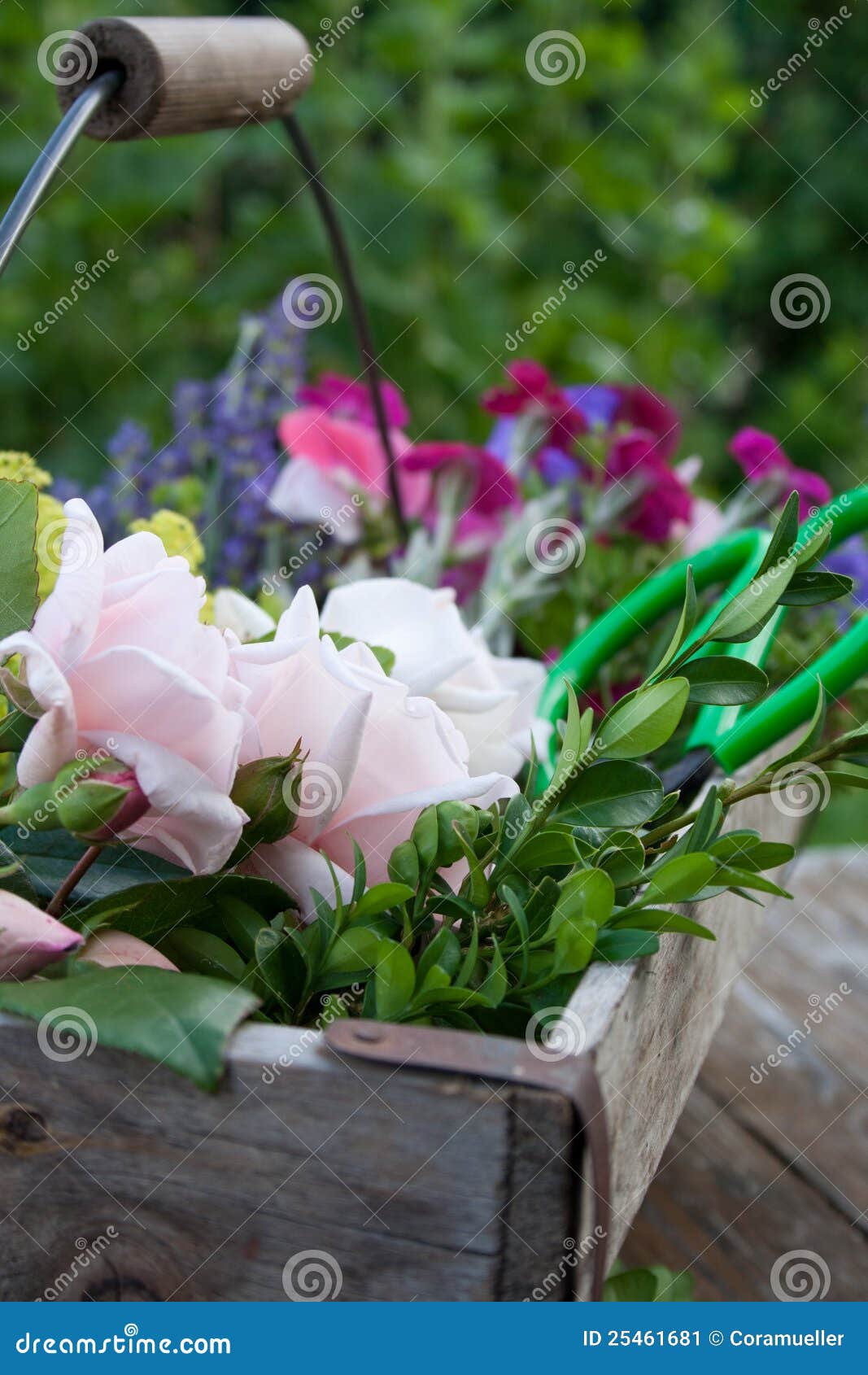 Flower basket stock image. Image of pick, roses, summer - 25461681