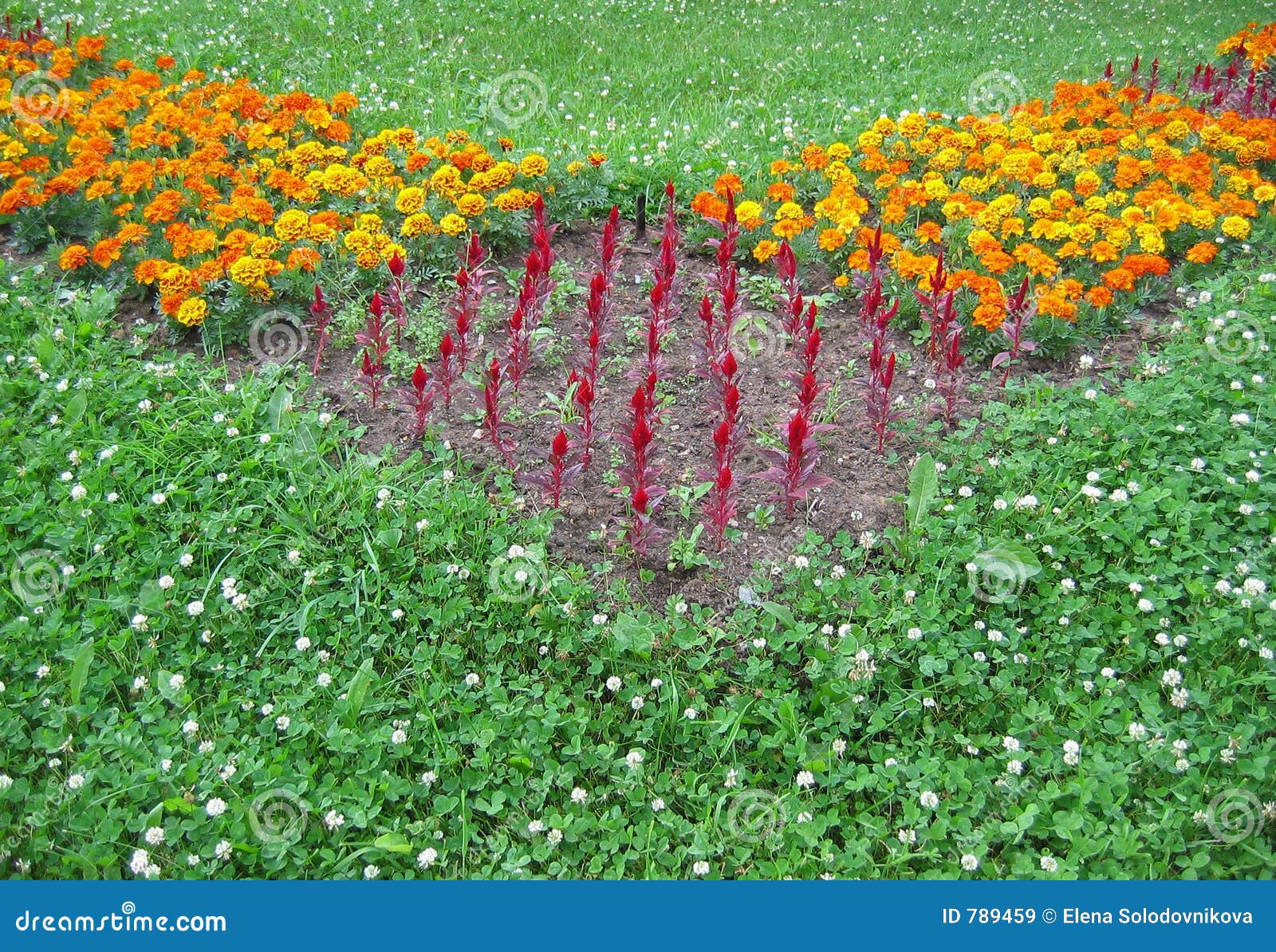 Trefoil Formation Stock Photos - Free & Royalty-Free Stock Photos from ...