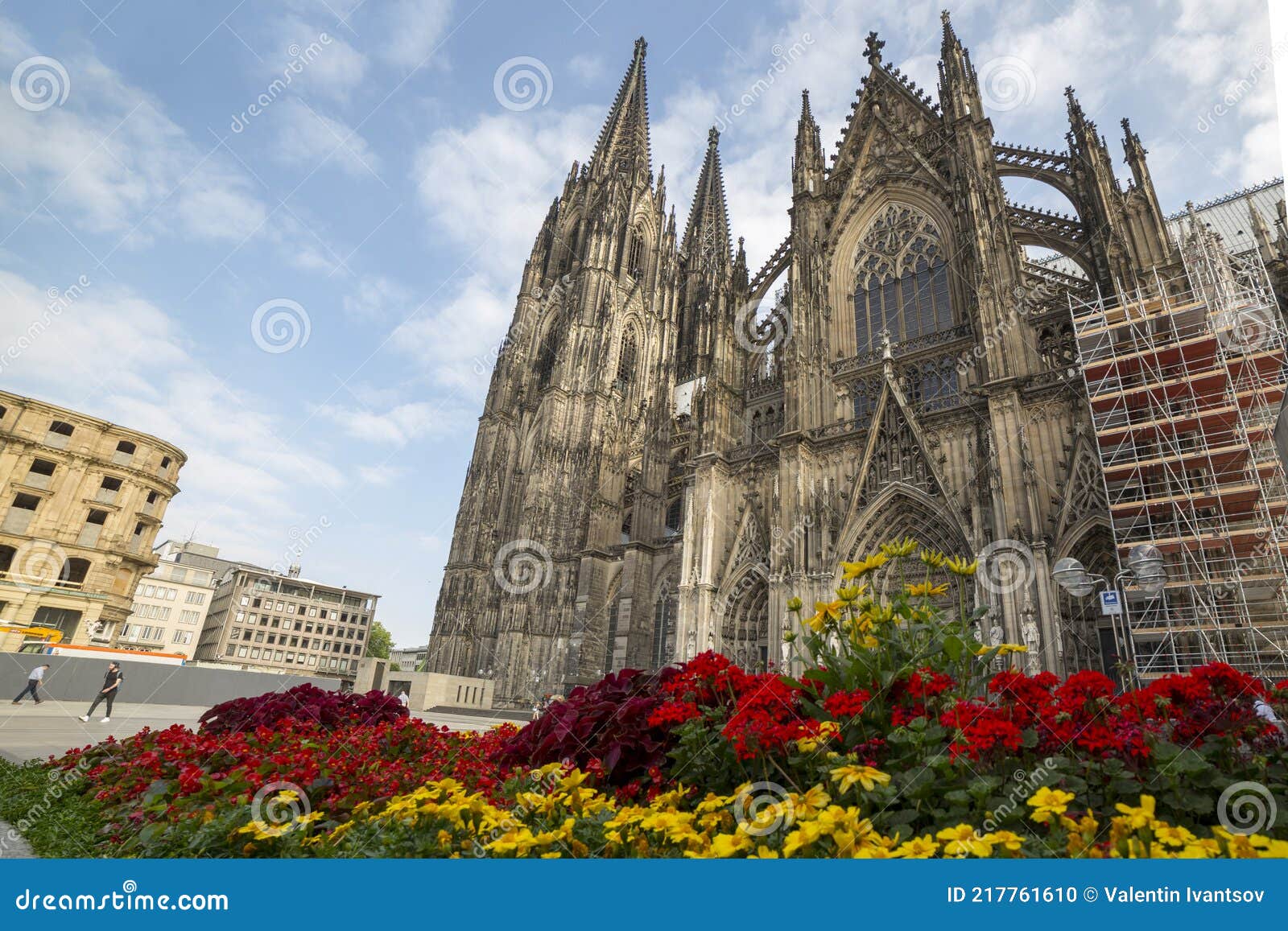 Flower Bed in the Background Cathedral of Saint Peter, Catholic ...