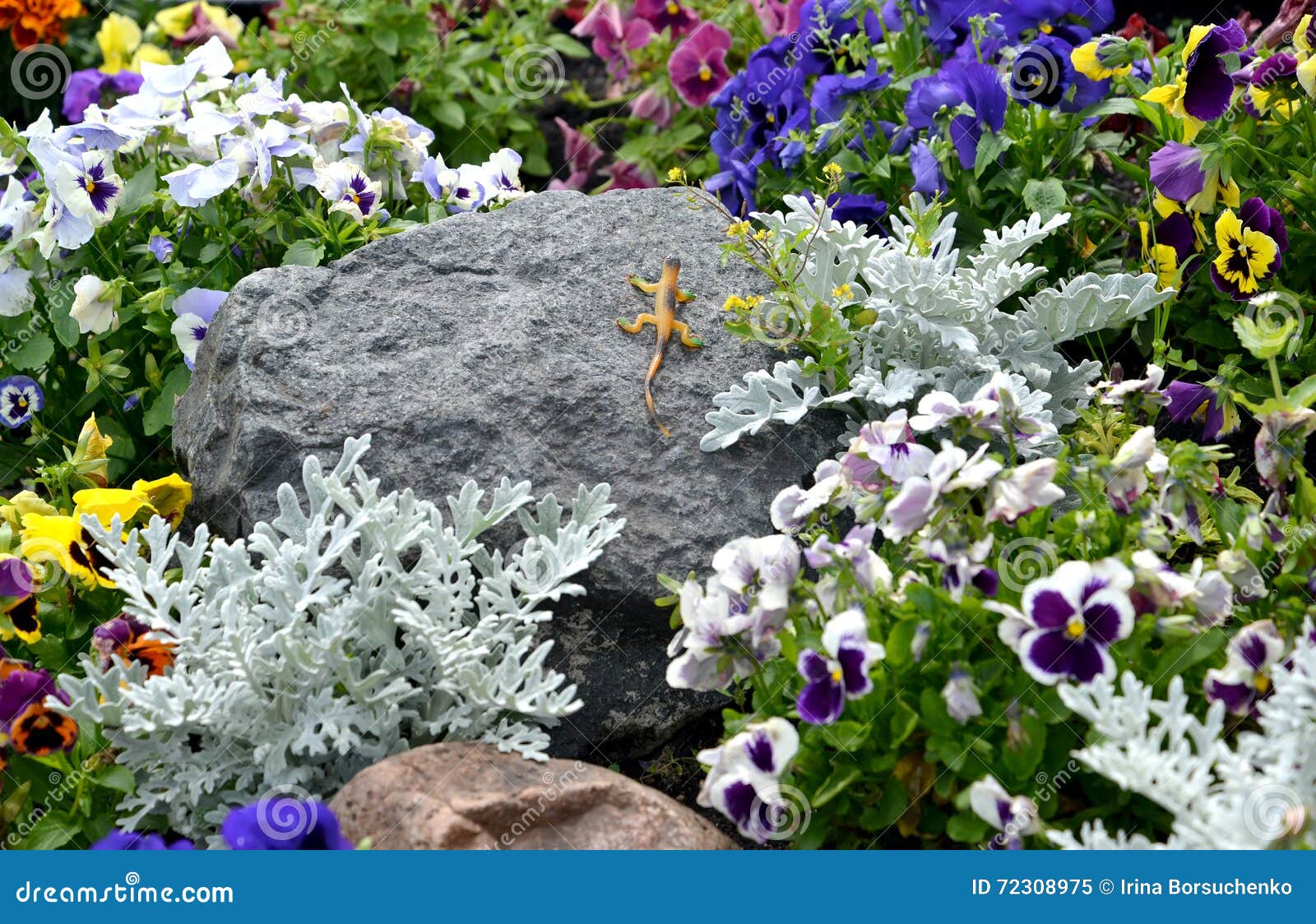 Flower Bed with a Figure of a Lizard on a Stone Stock Image - Image of ...