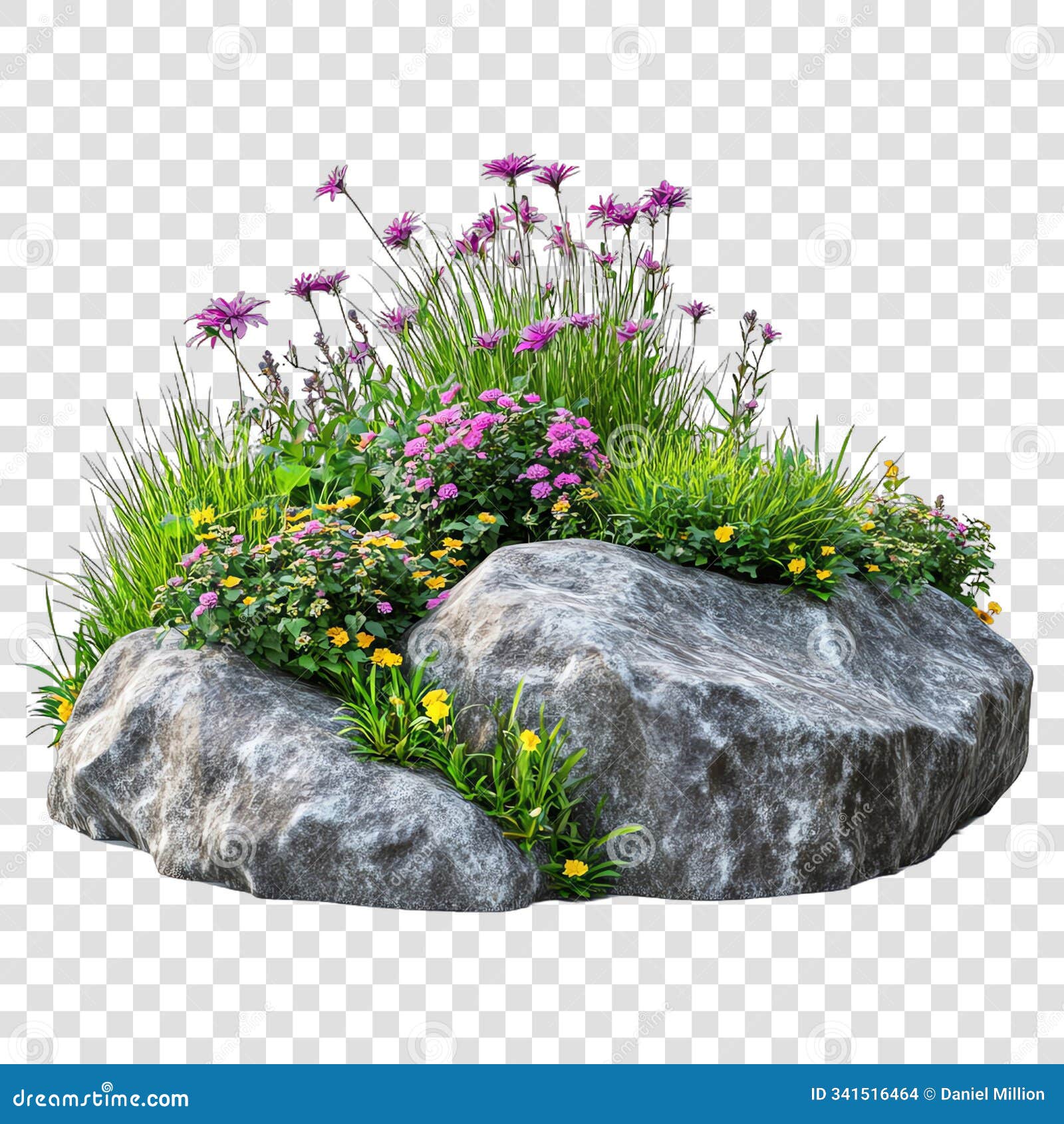 Flower Bed with Grass and Large Rocks Stock Photo - Illustration of ...