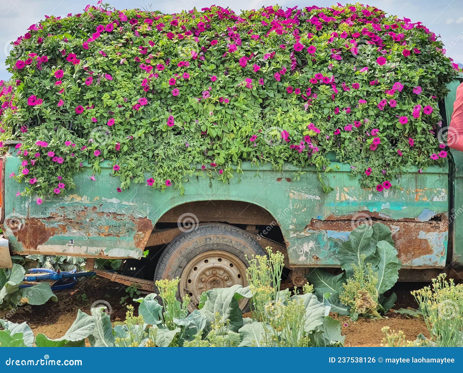 Flower Bed on the Old Truck. Stock Photo - Image of truck, beautiful ...