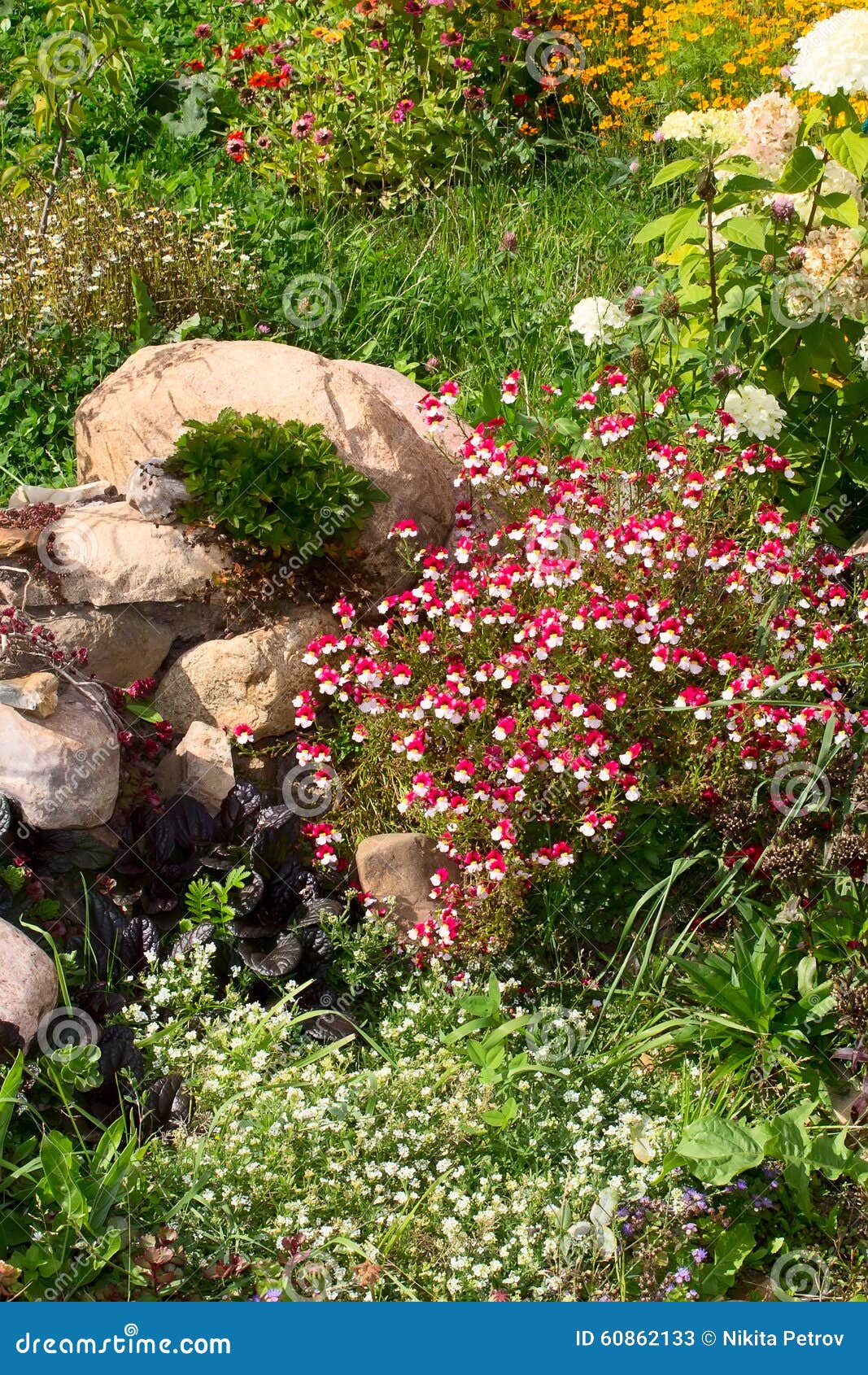 Flower Bed with Wild Flowers and Ornamental Stock Image - Image of ...