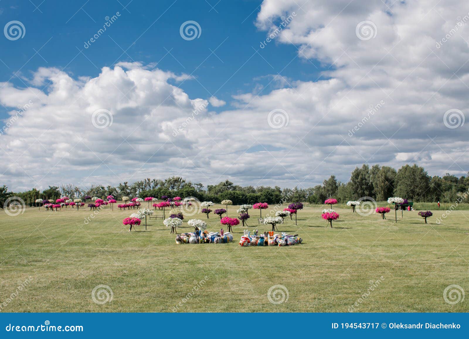 Flower Beds of Beautiful Flowers Planted in Field Stock Image - Image ...