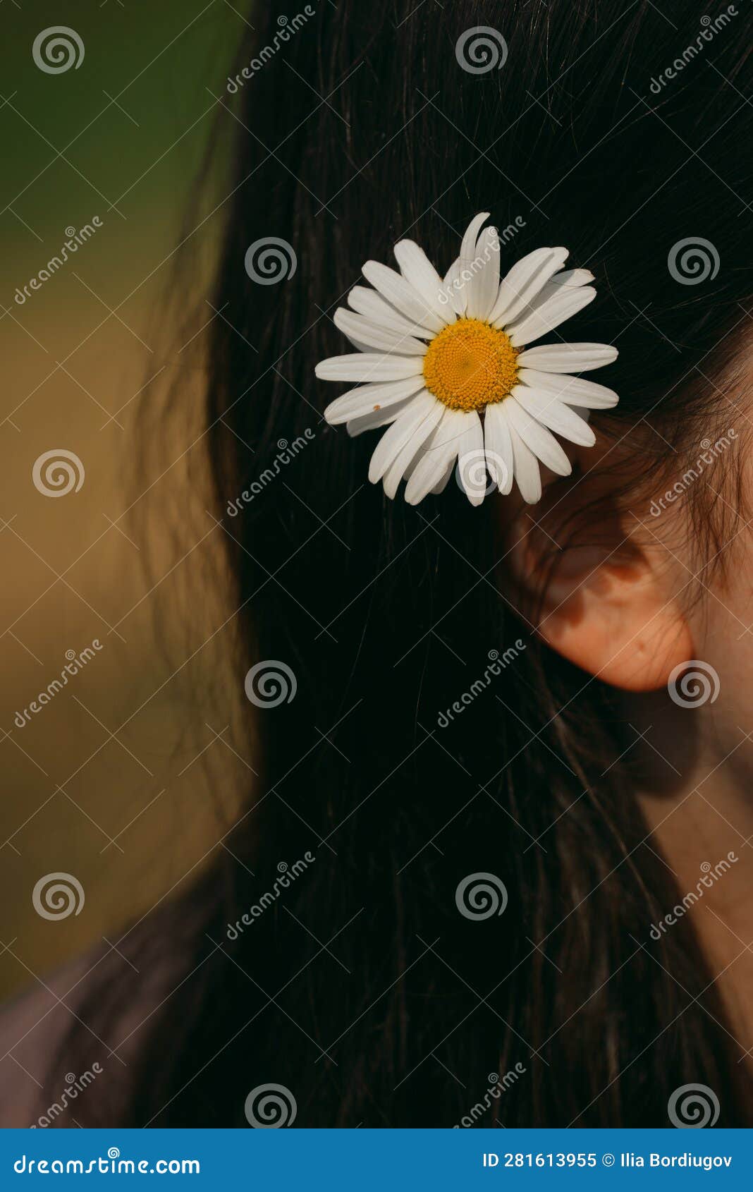A Flower Behind a Girl S Ear Stock Image - Image of portrait, daisy ...