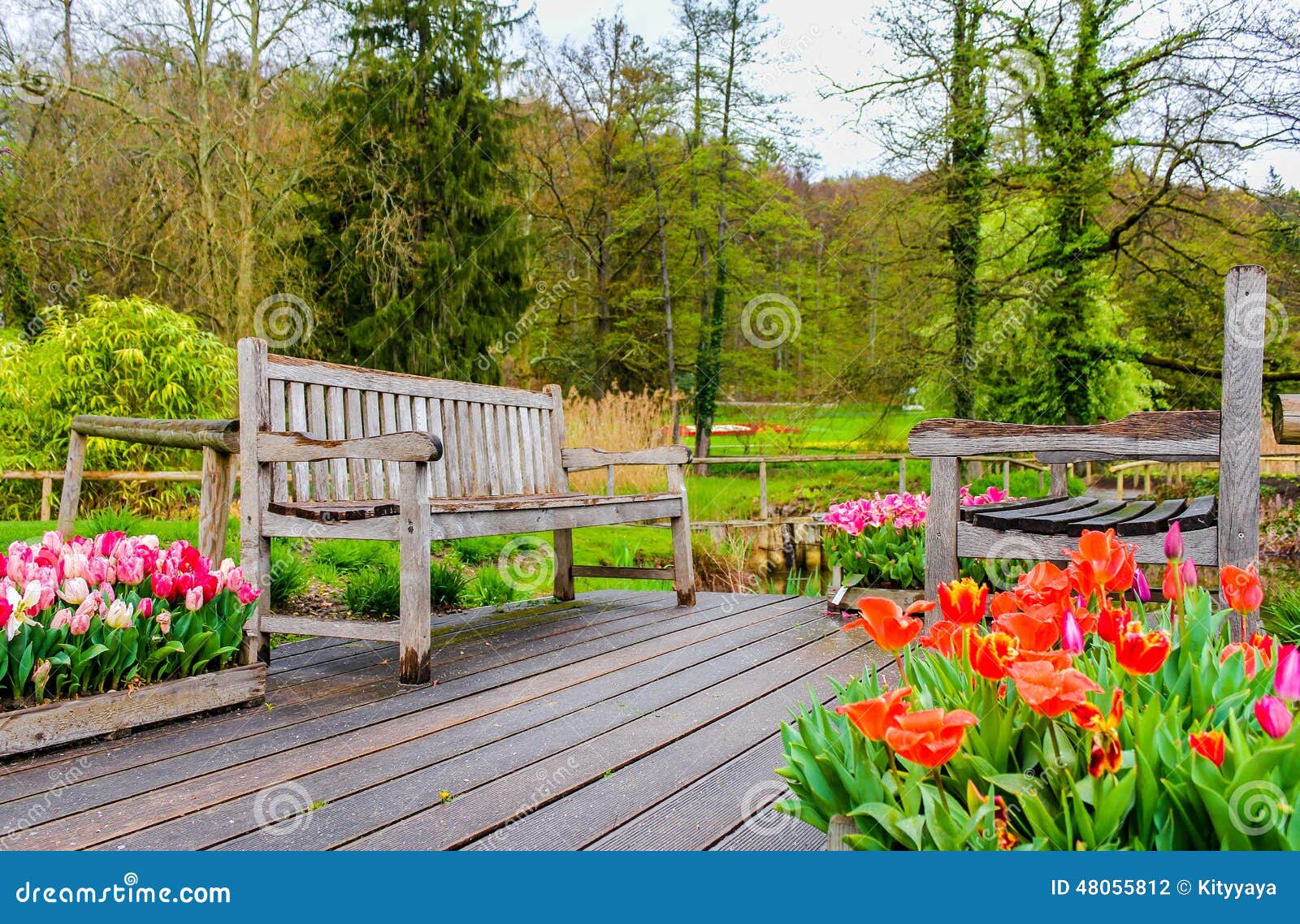 Flower and benches stock photo. Image of peace, silence - 48055812