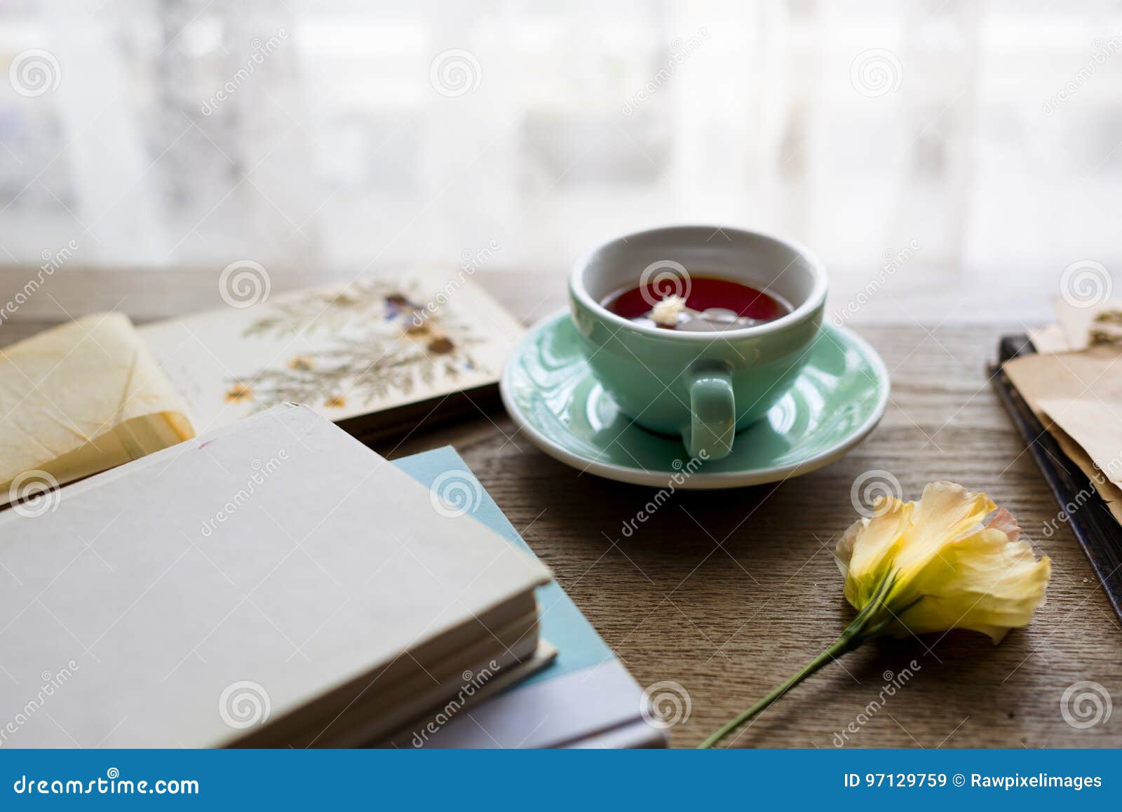 Flower Bloom Relaxation Tea Cup Peaceful Stock Image - Image of flower ...