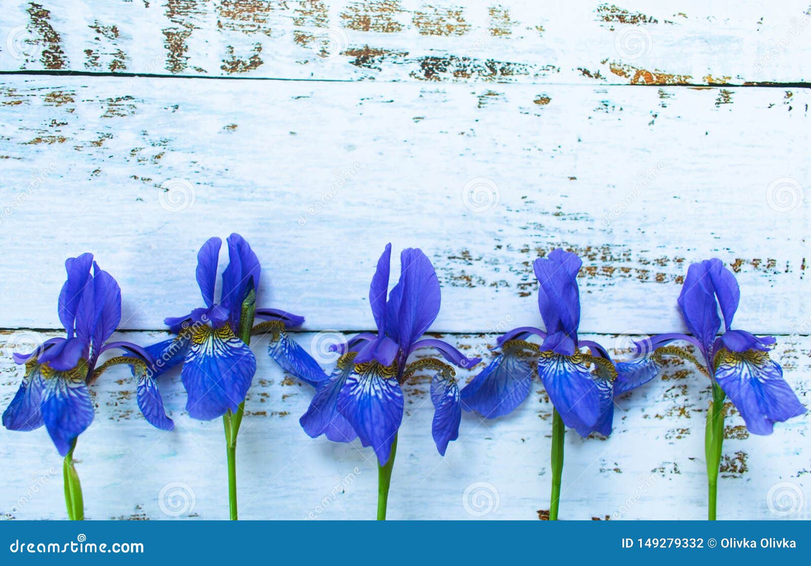 Flower Blue Iris on a Light Wooden Background. Stock Photo - Image of ...