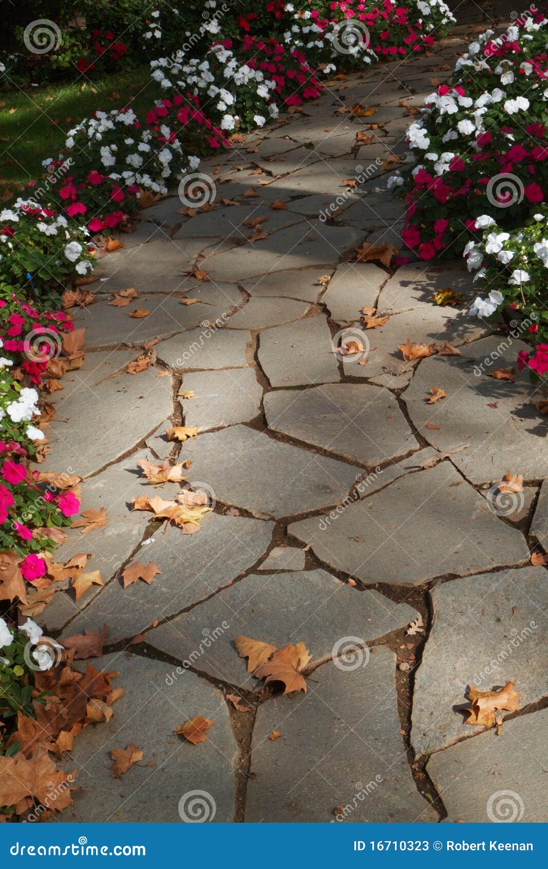 Flower boardered rock path stock image. Image of spring - 16710323