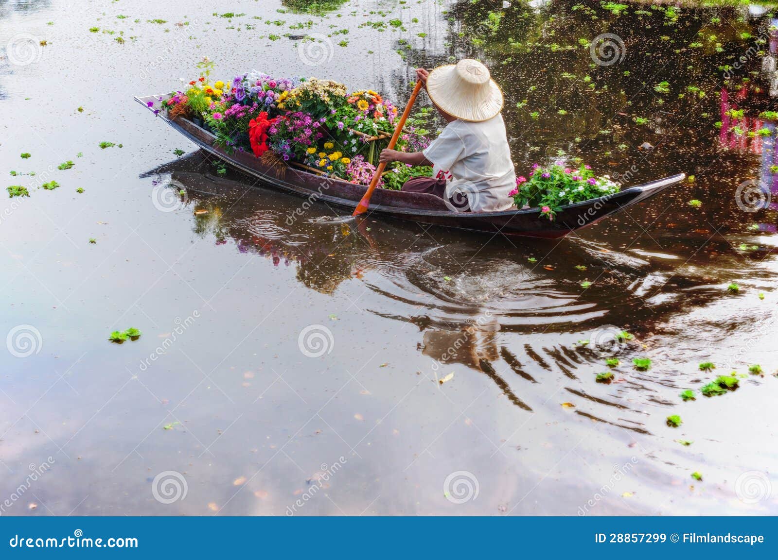 Flower boat editorial stock image. Image of canal, people - 28857299