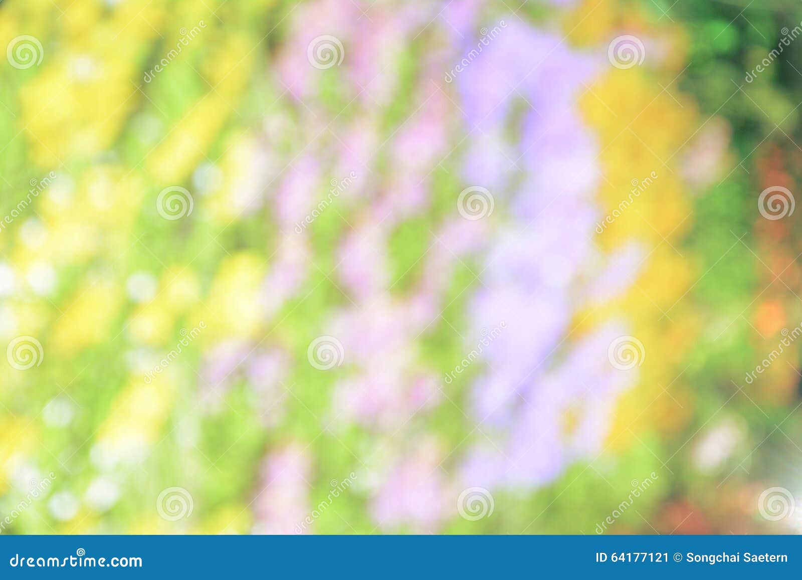 Flower bokeh background stock image. Image of colorful - 64177121