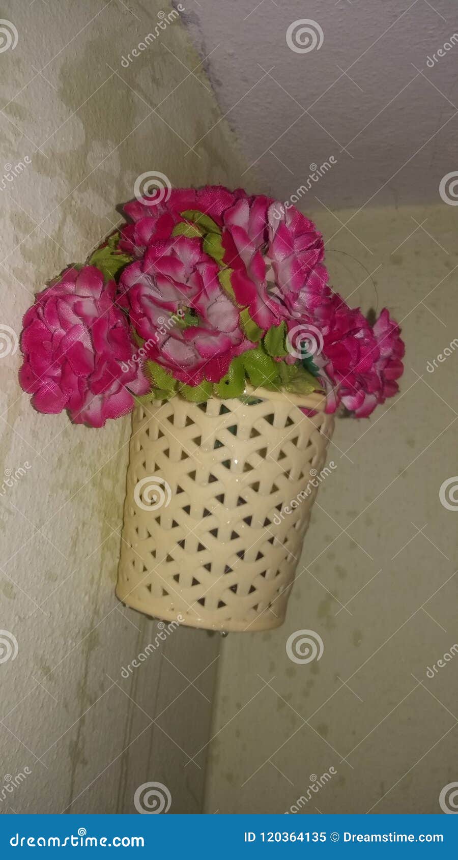 Flower Boky Photos - Free & Royalty-Free Stock Photos from Dreamstime